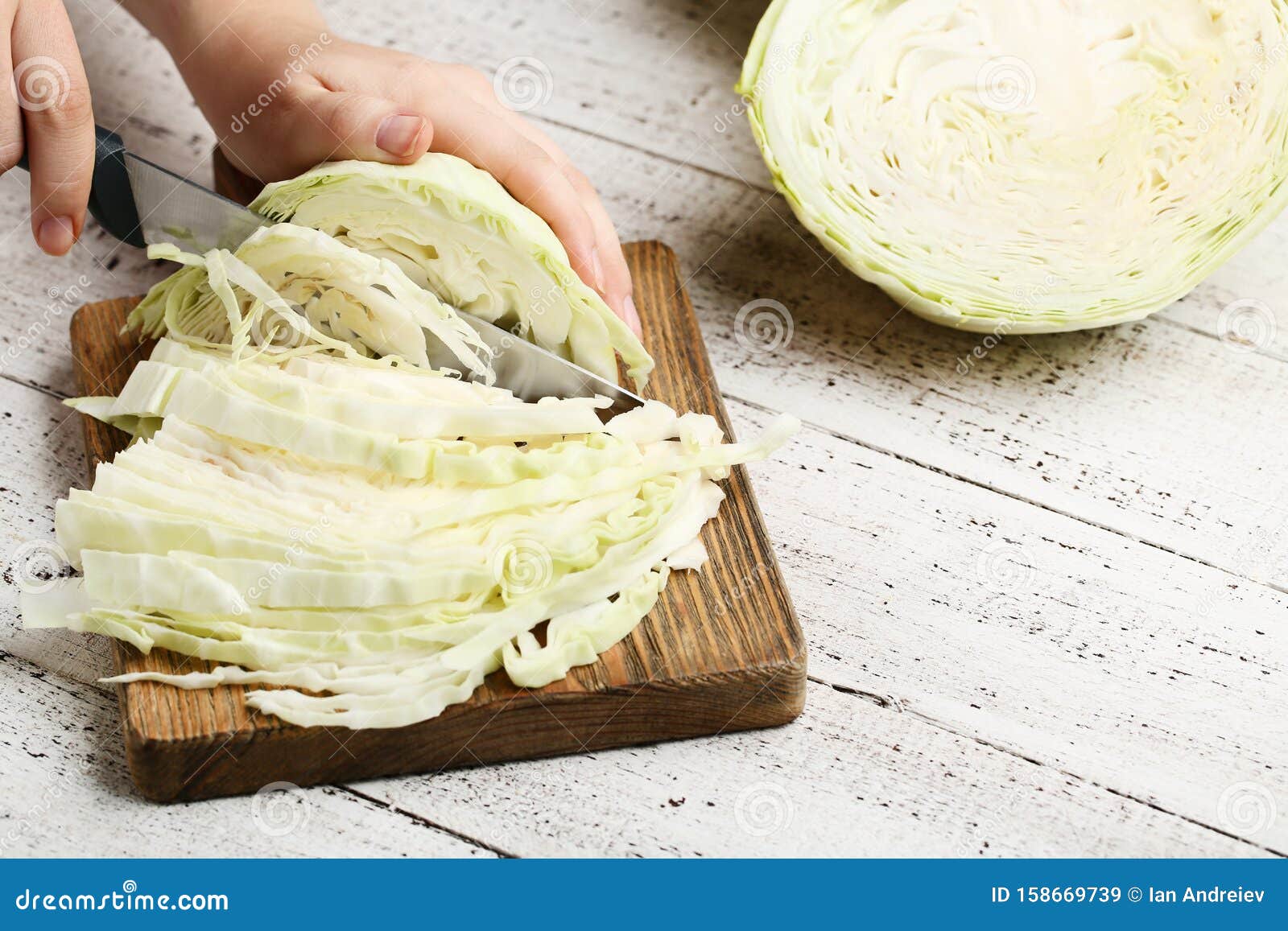 Hand cutting cabbage stock image. Image of garden, knife - 158669739