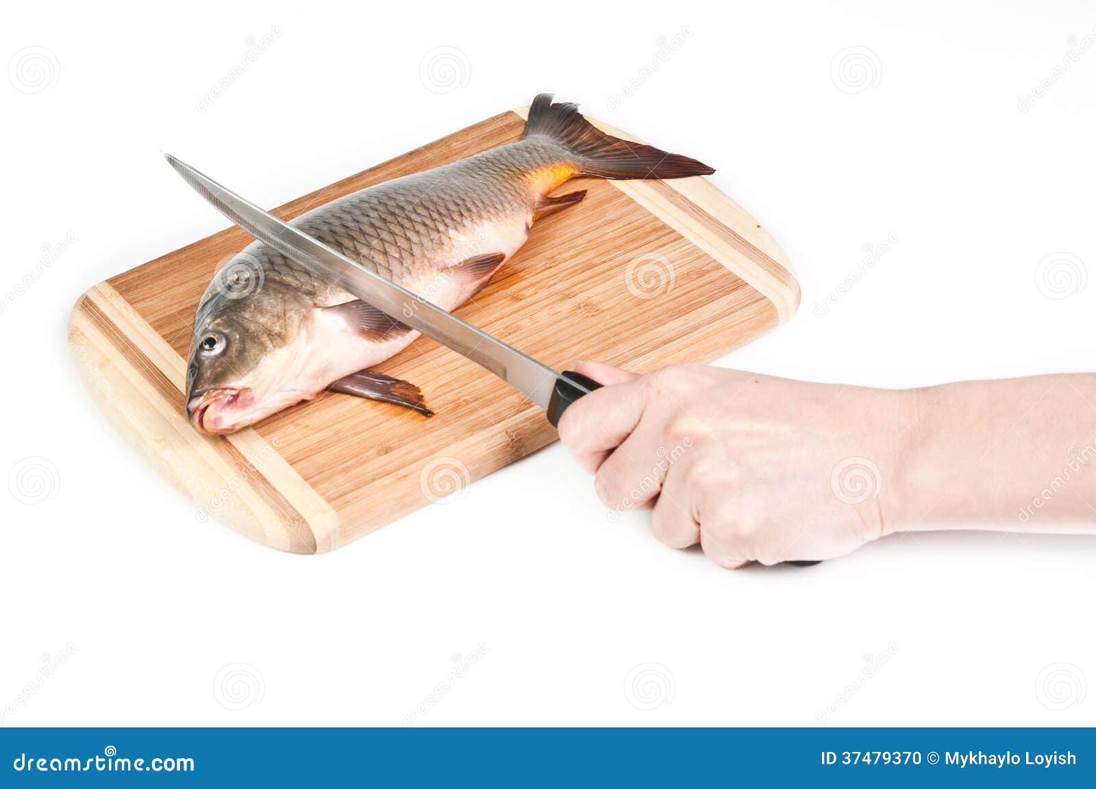 Hand Cutting Fresh Fish on the Board Stock Photo - Image of leaf, olive ...