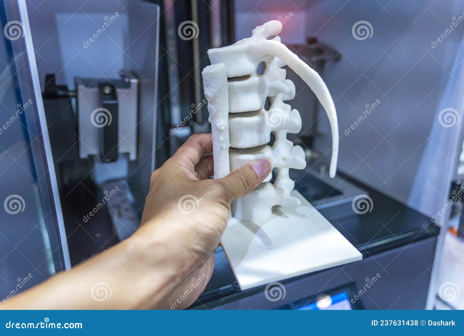 3D Printed Human Heart Model For Medical Education And Anatomical Study ...