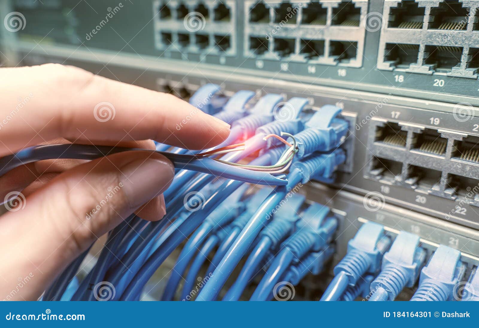 Two Damaged Stranded Wires Are In The Hands Of A Network Engineer.The ...