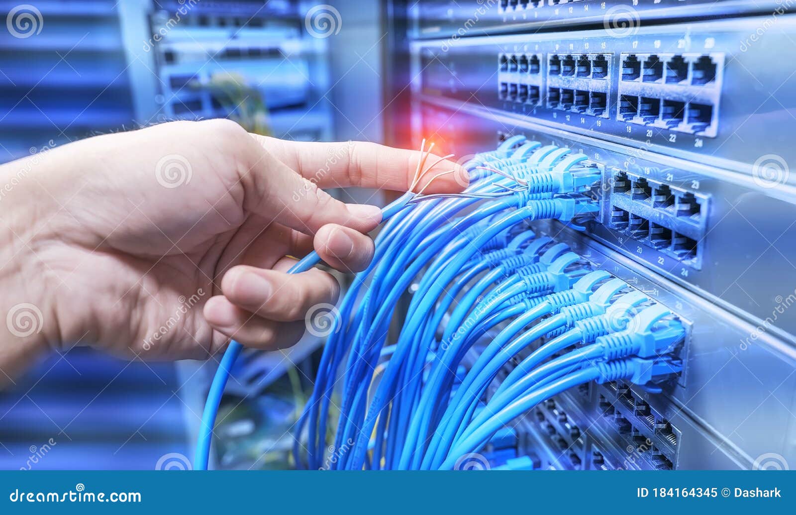 Two Damaged Stranded Wires Are In The Hands Of A Network Engineer.The ...