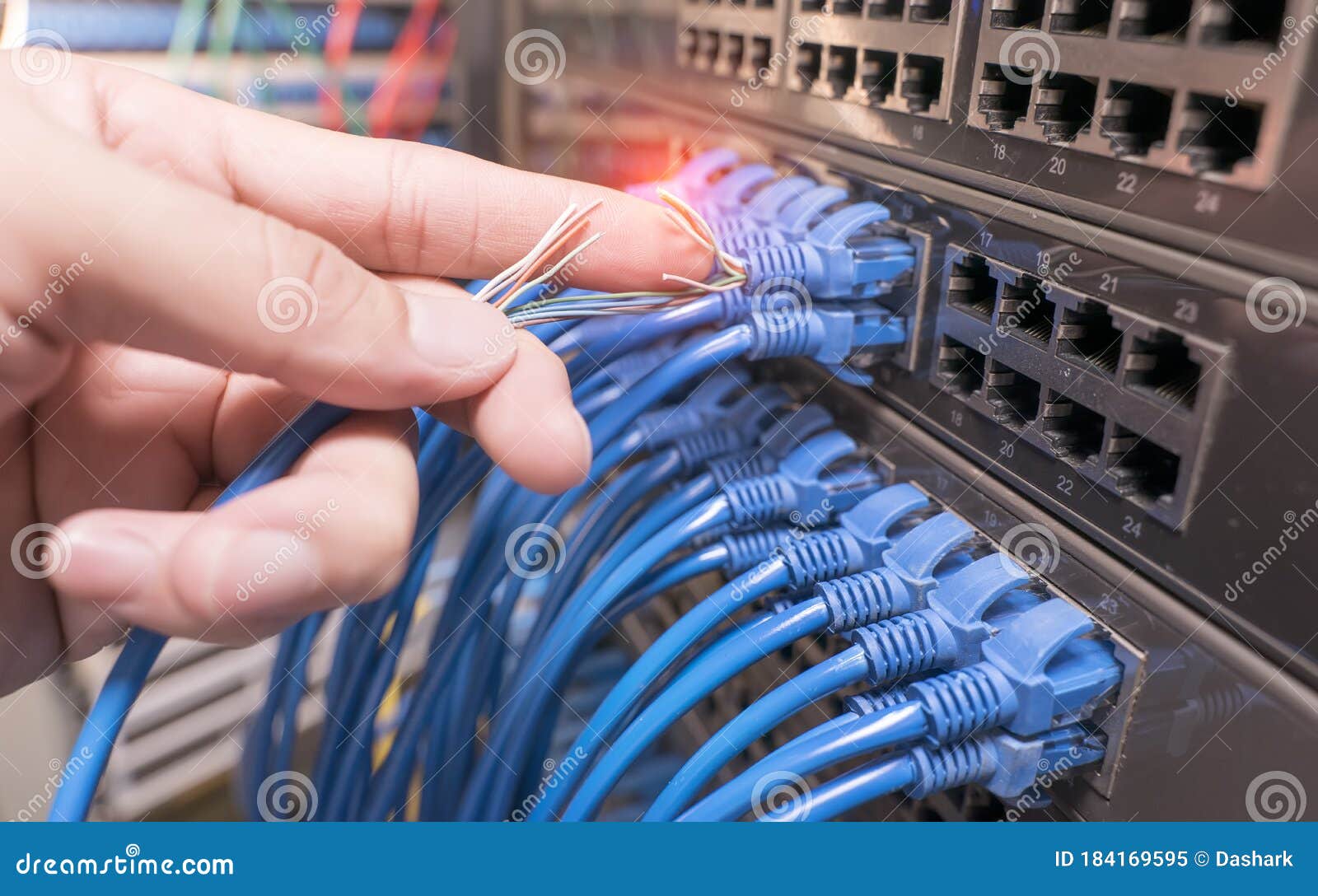 Two Damaged Stranded Wires Are In The Hands Of A Network Engineer.The ...