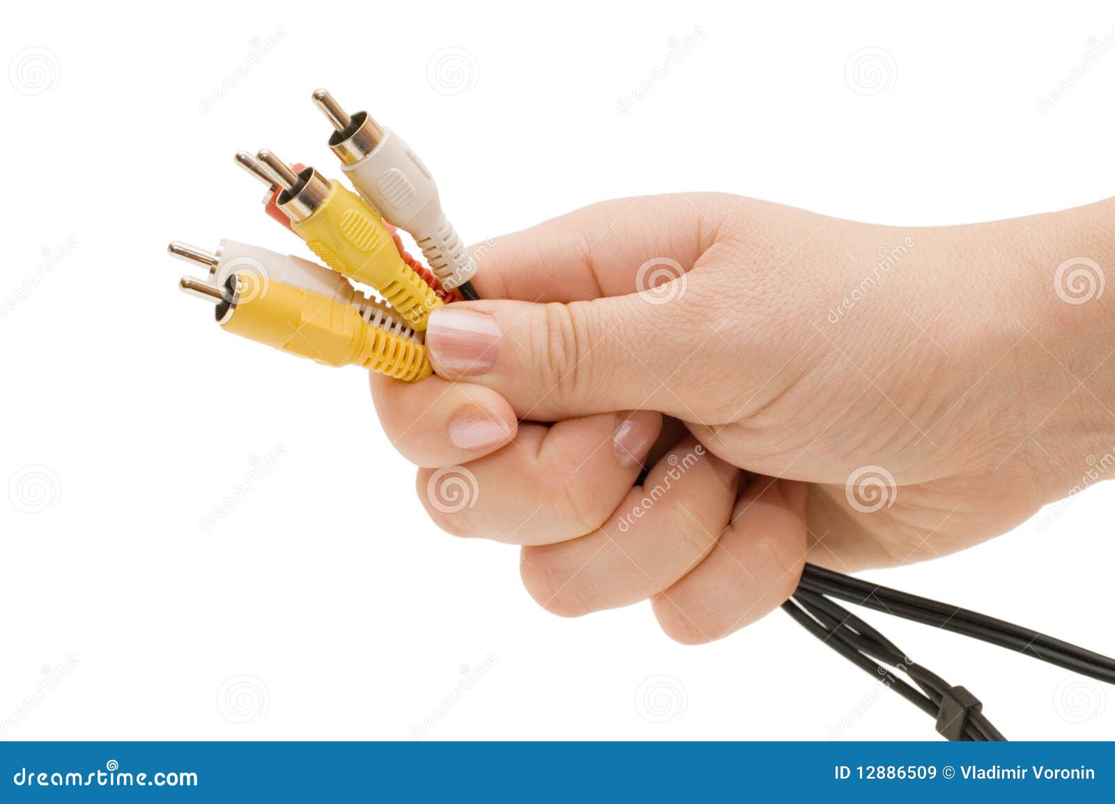In Hand De Kabels Van De Computer Stock Afbeelding - Image of ...