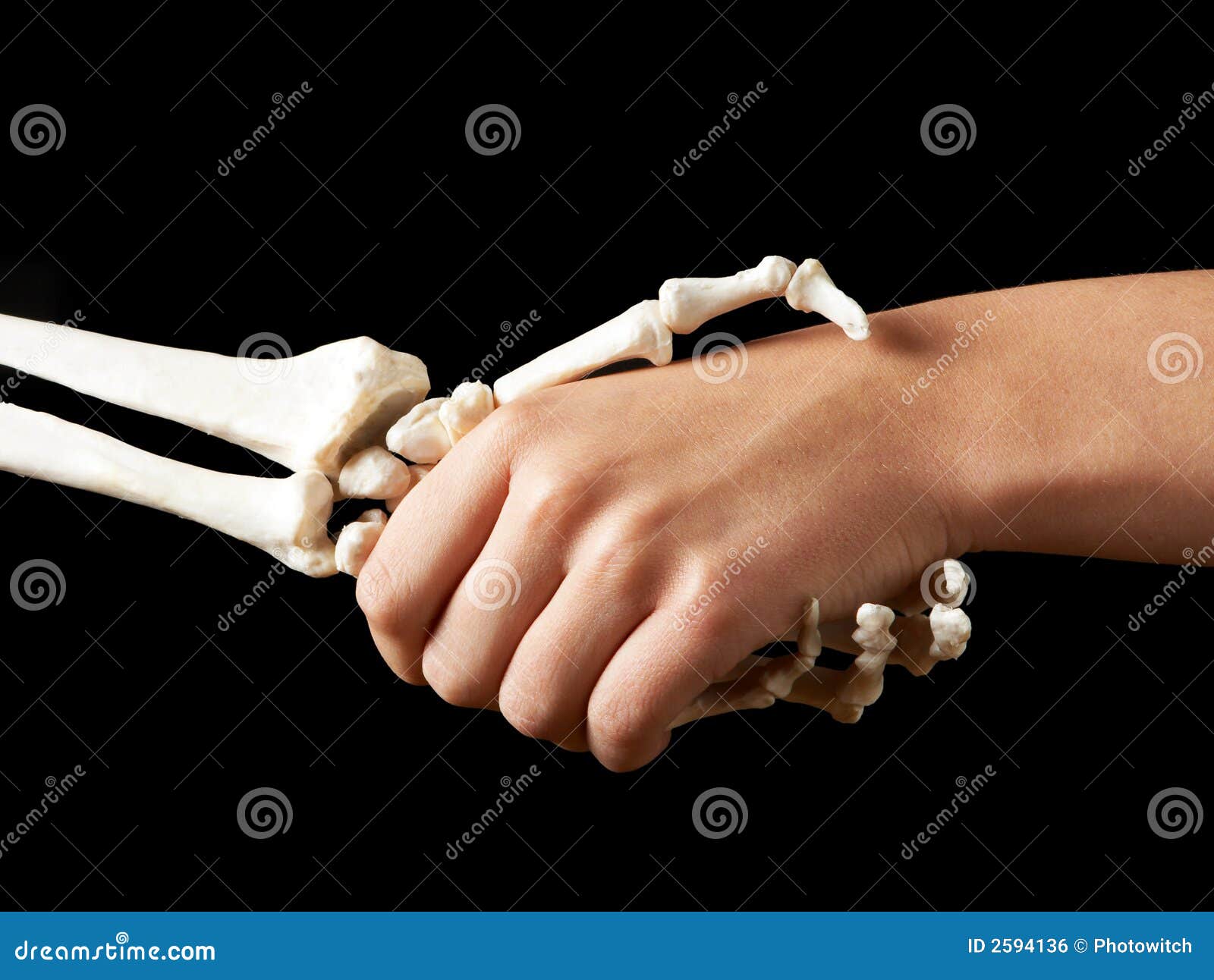Hand of death stock photo. Image of fingers, dead, anatomy - 2594136
