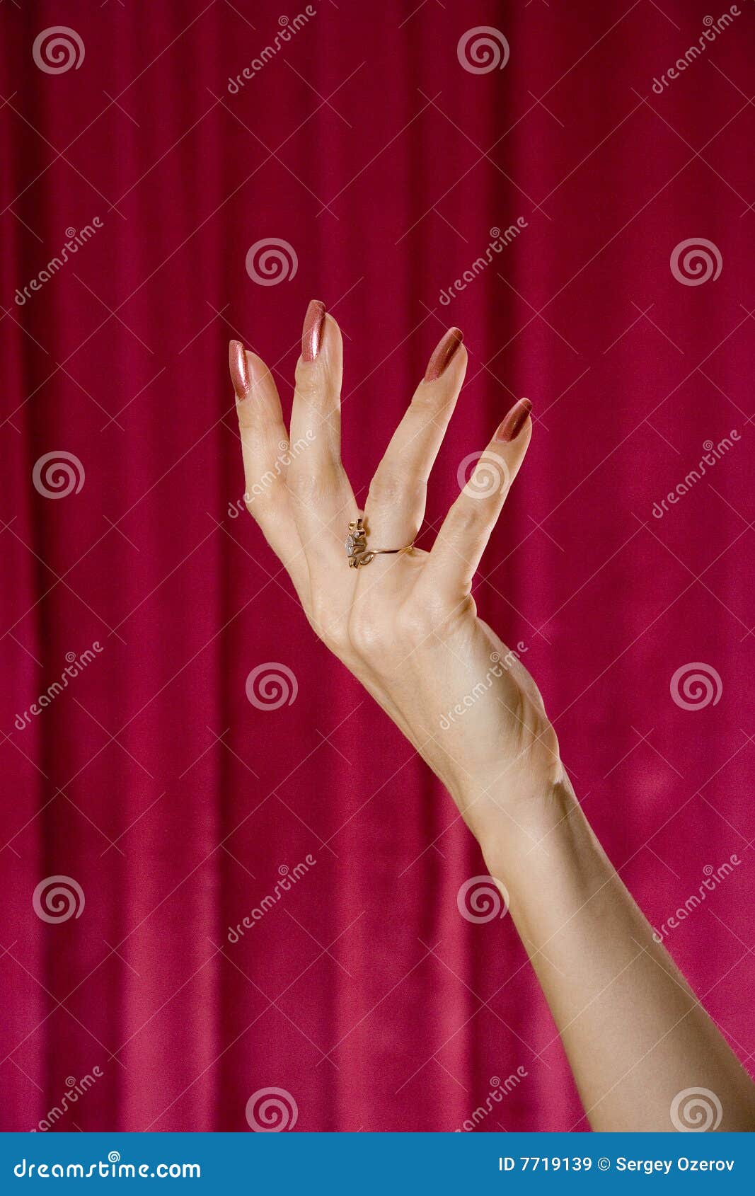 Hand der Frau stockbild. Bild von menschlich, hand, frau - 7719139