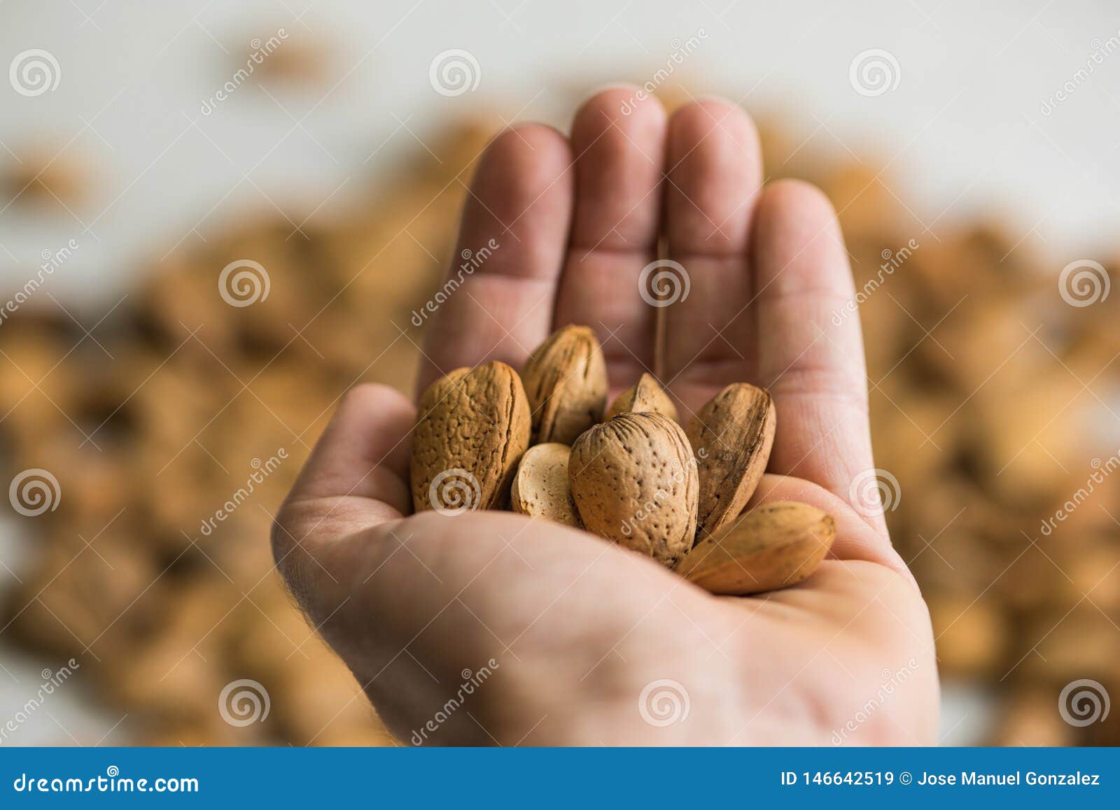Hand Detail Catching Almonds Nut in Shell on a Blurred Bottom of Nuts ...