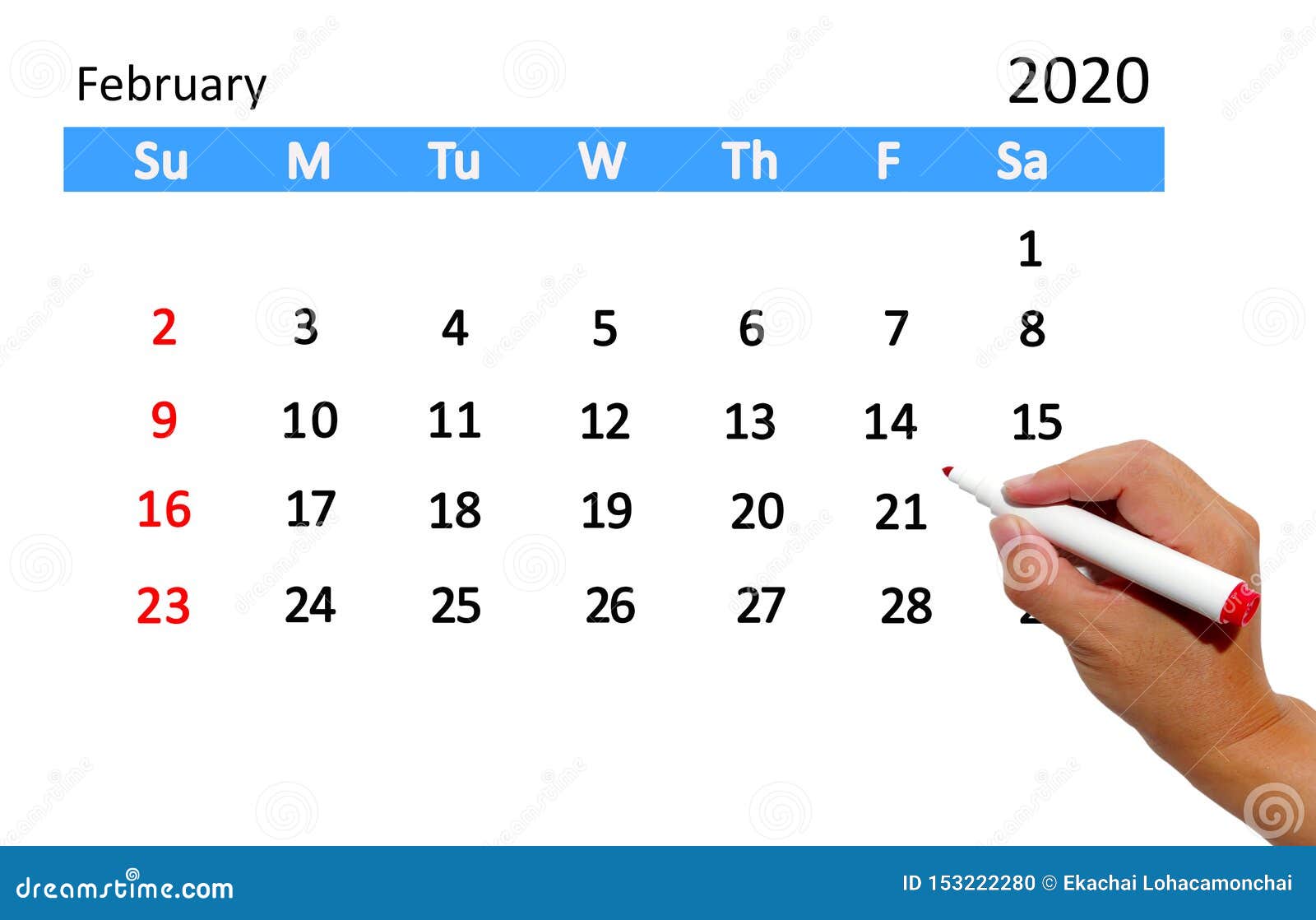 Hand, Die Datum am Kalender Hervorhebt Stockfoto - Bild von auflage ...