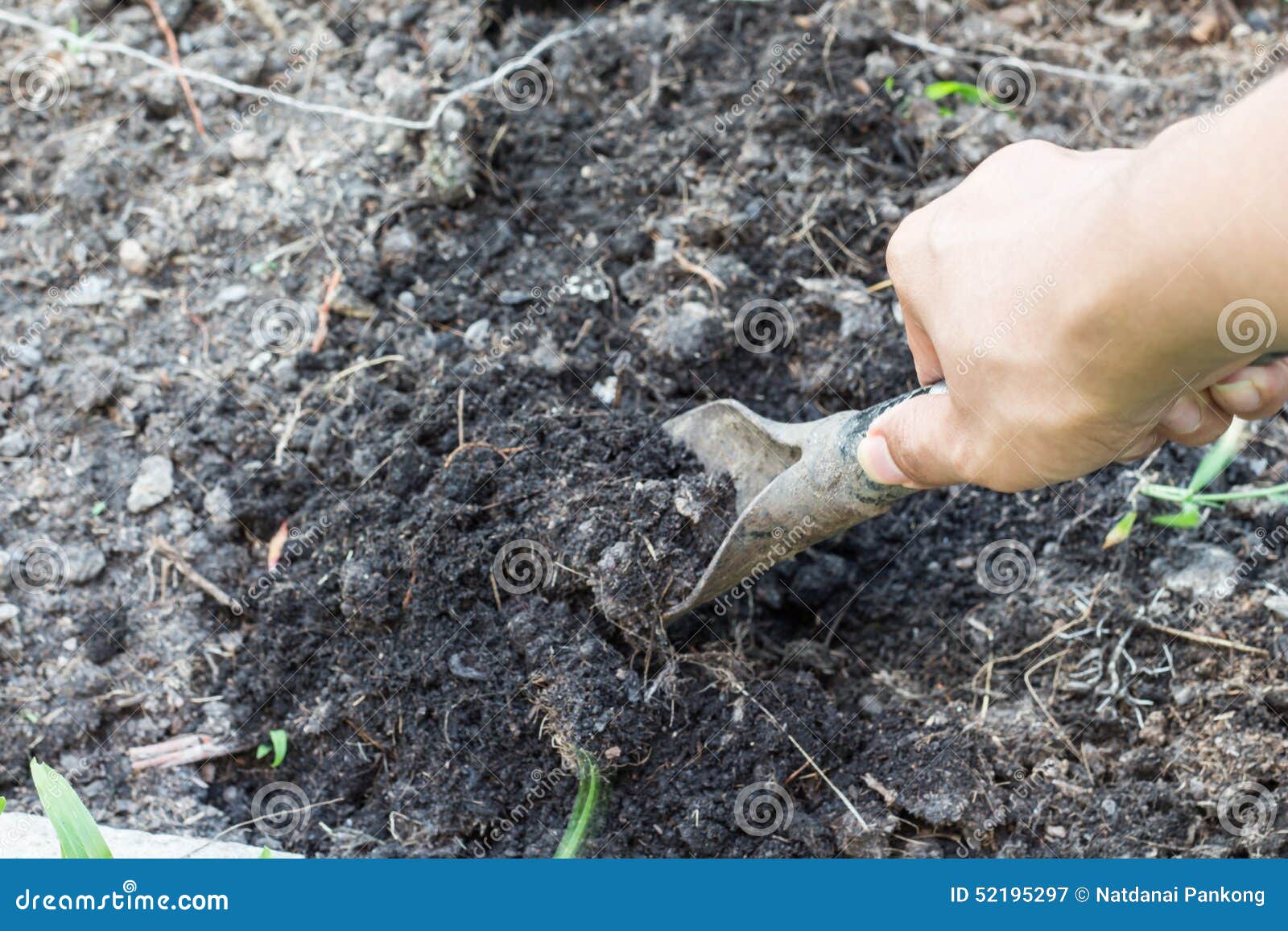 Hand digging the soil stock image. Image of land, ground - 52195297