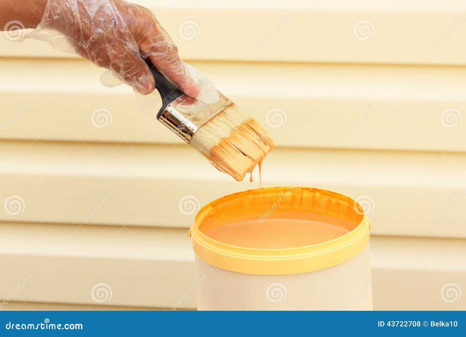 Hand Dipping Paint Brush into a Can Stock Photo - Image of color ...
