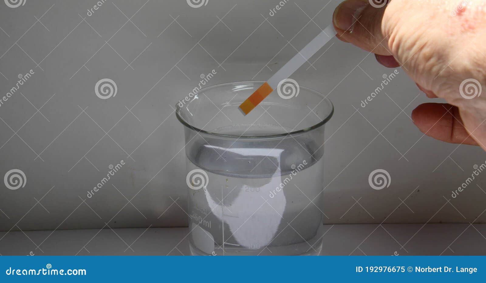 Hand Dips a Test Strip into a Solution in a Beaker Stock Image - Image ...