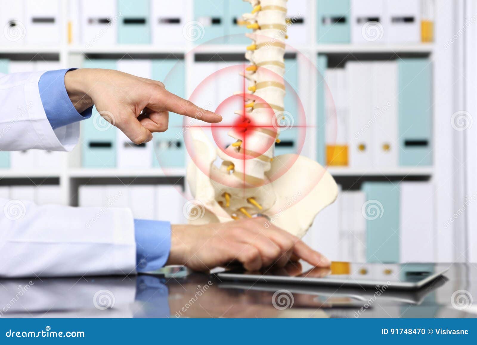 A Pen Pointing At Herniated Lumbar Disc Model Stock Photography ...