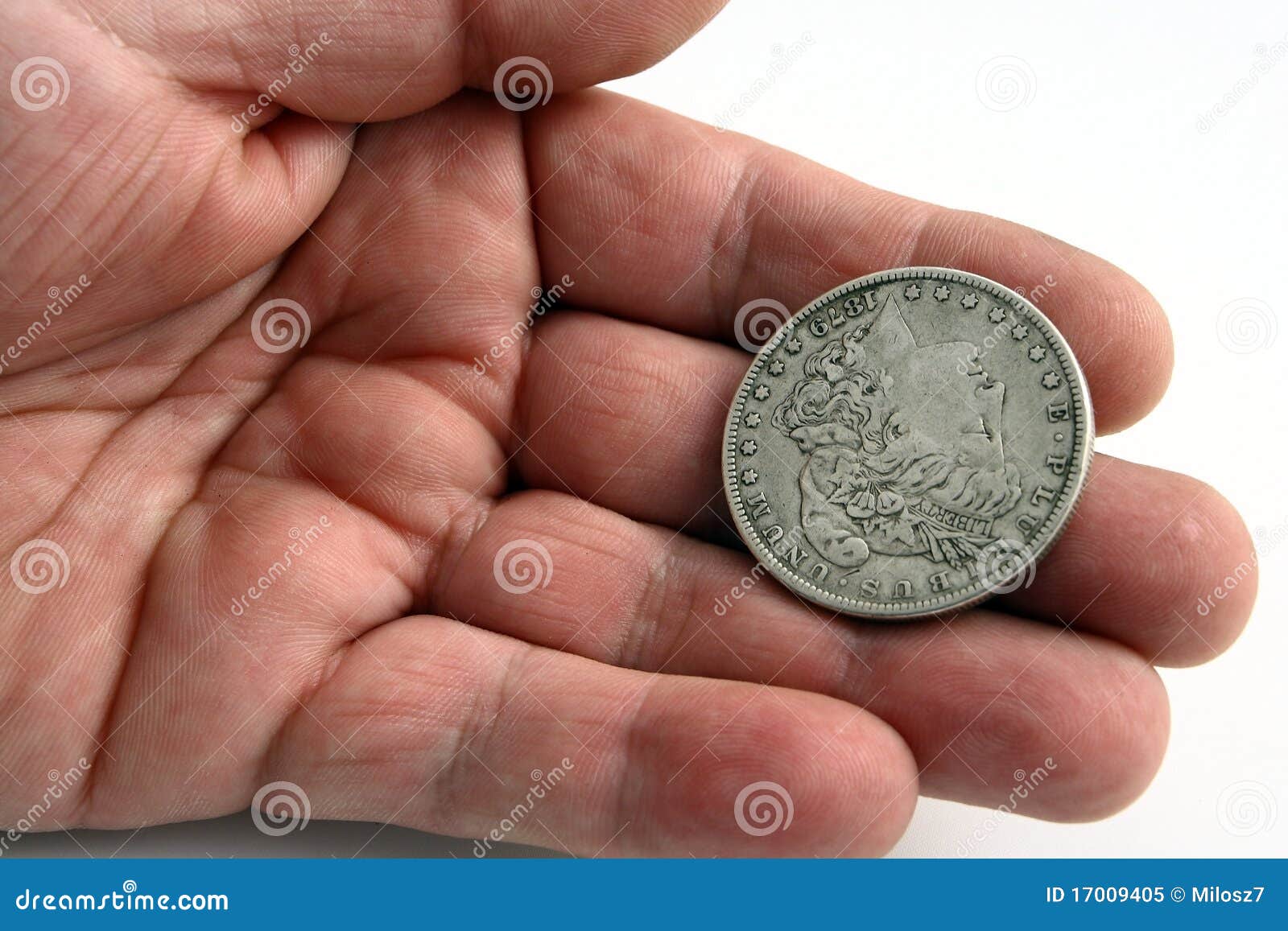 Hand with dollar stock image. Image of economy, business - 17009405