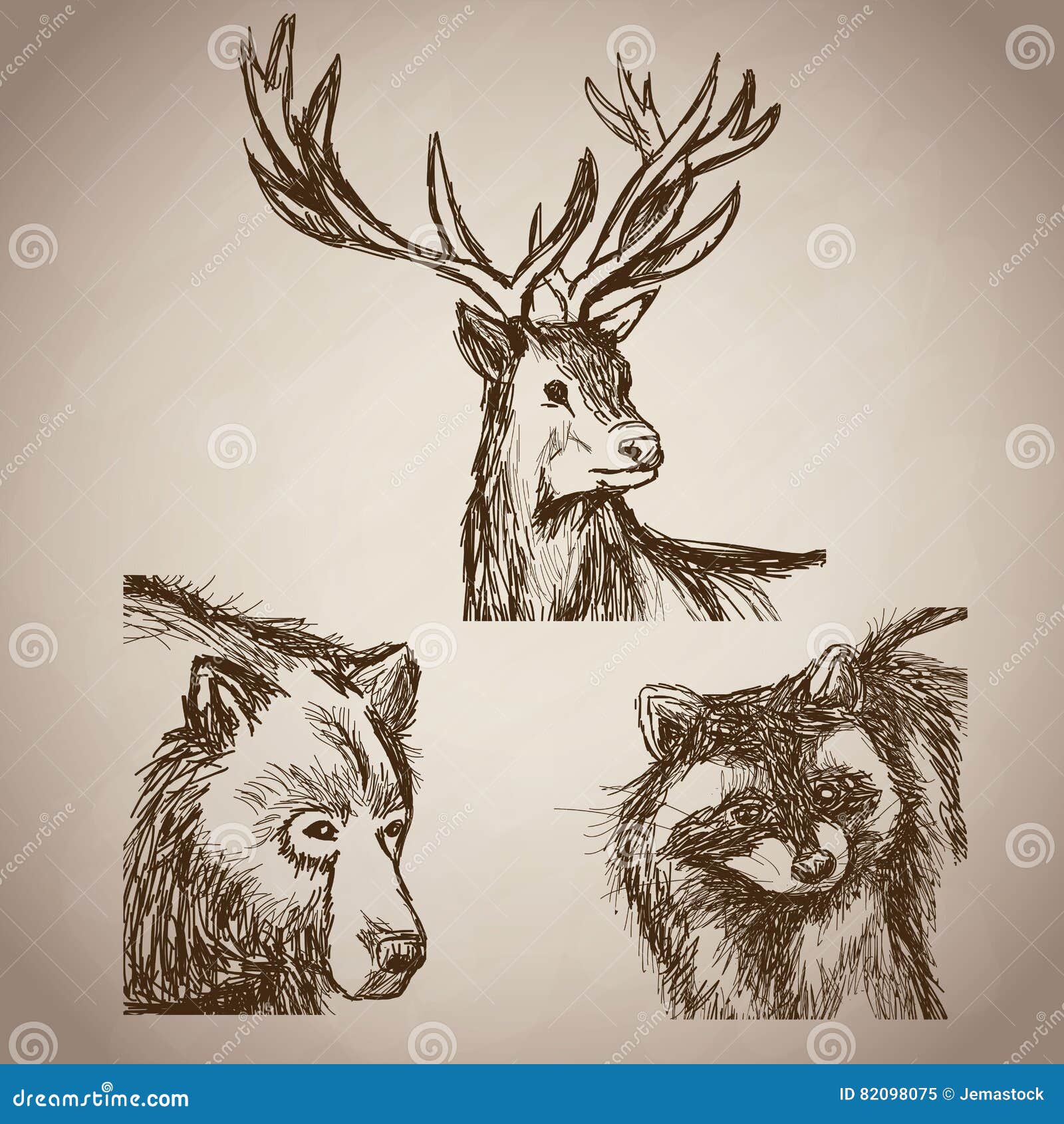 Hand Draw Animals Forest Vintage Stock Vector - Illustration of bird ...