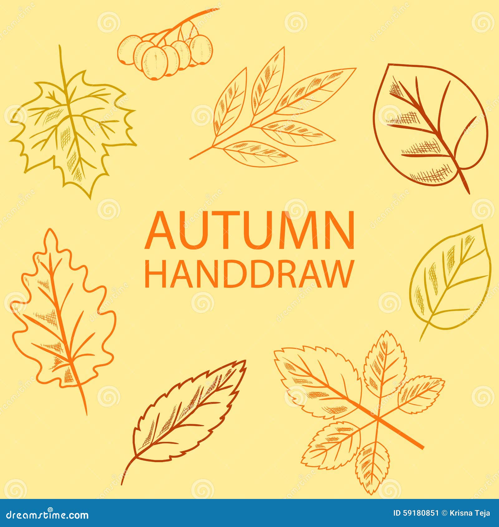 Hand Draw Autumn Leaf stock vector. Illustration of green - 59180851