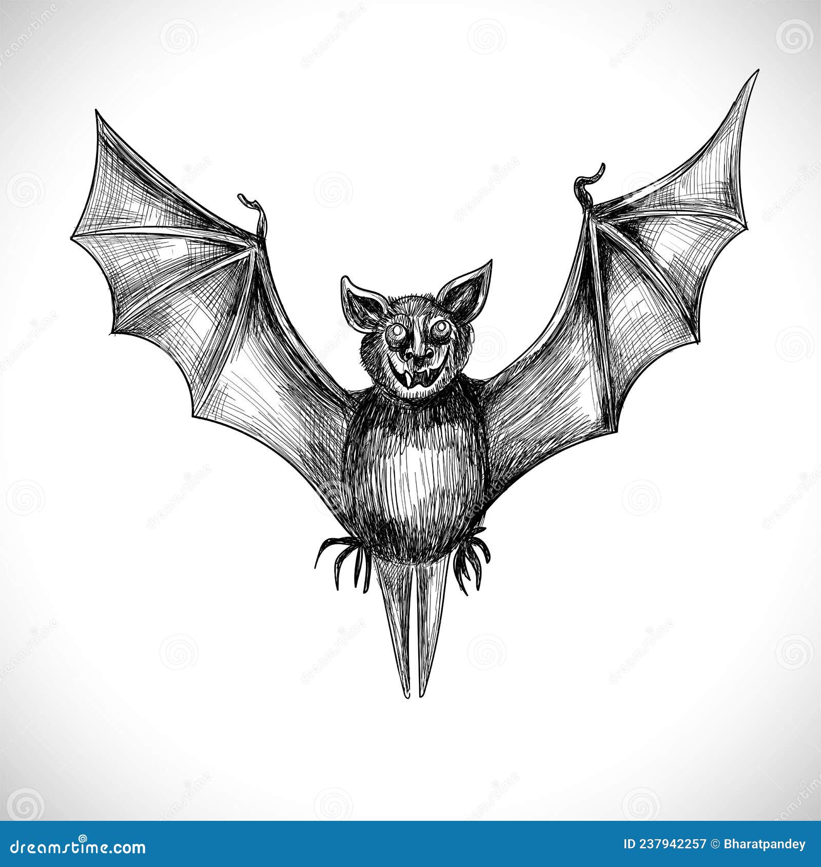 Hand Draw Bat Sketch Design Stock Vector - Illustration of white, black ...