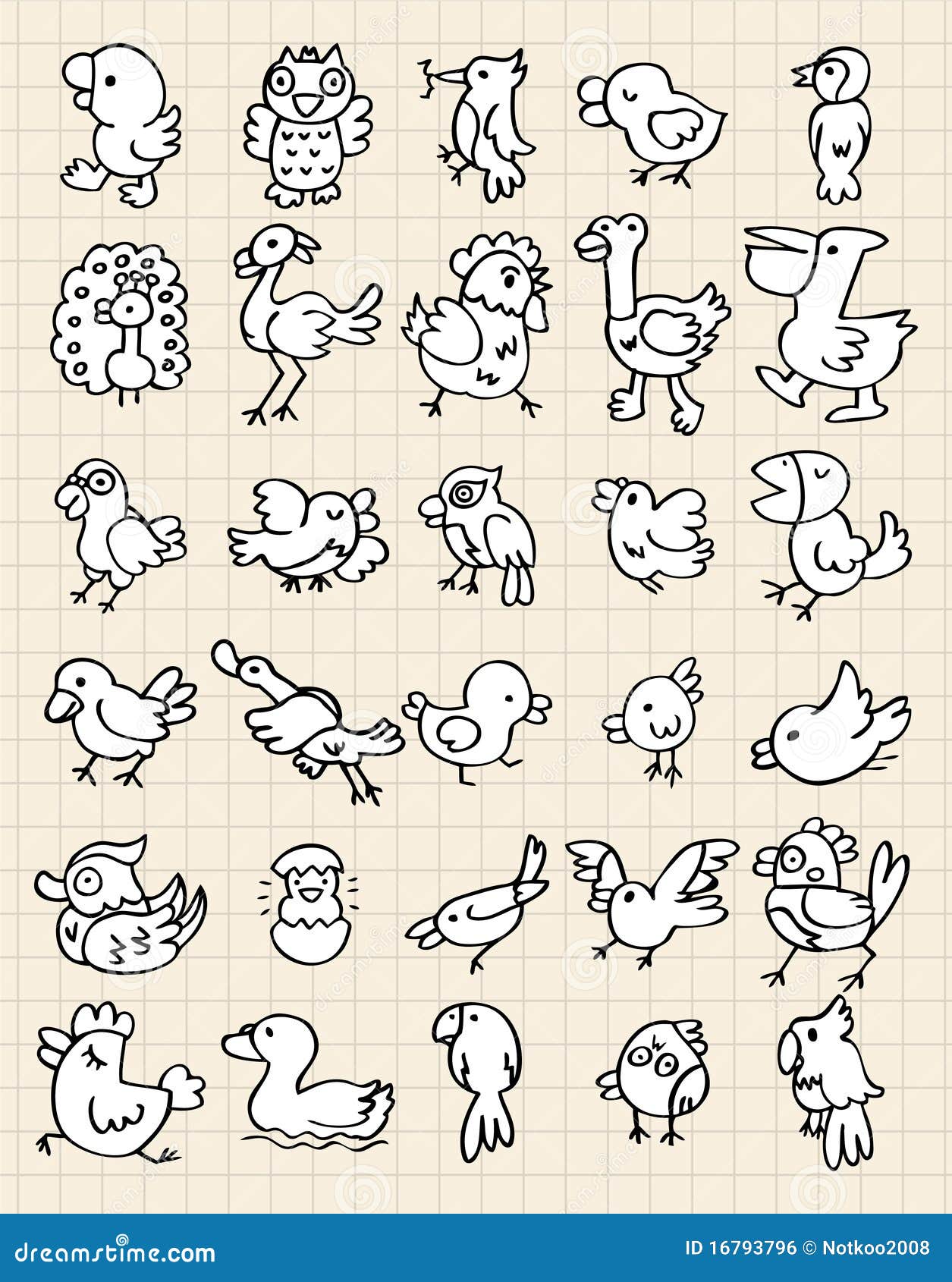 Hand draw bird element stock vector. Illustration of peacock - 16793796