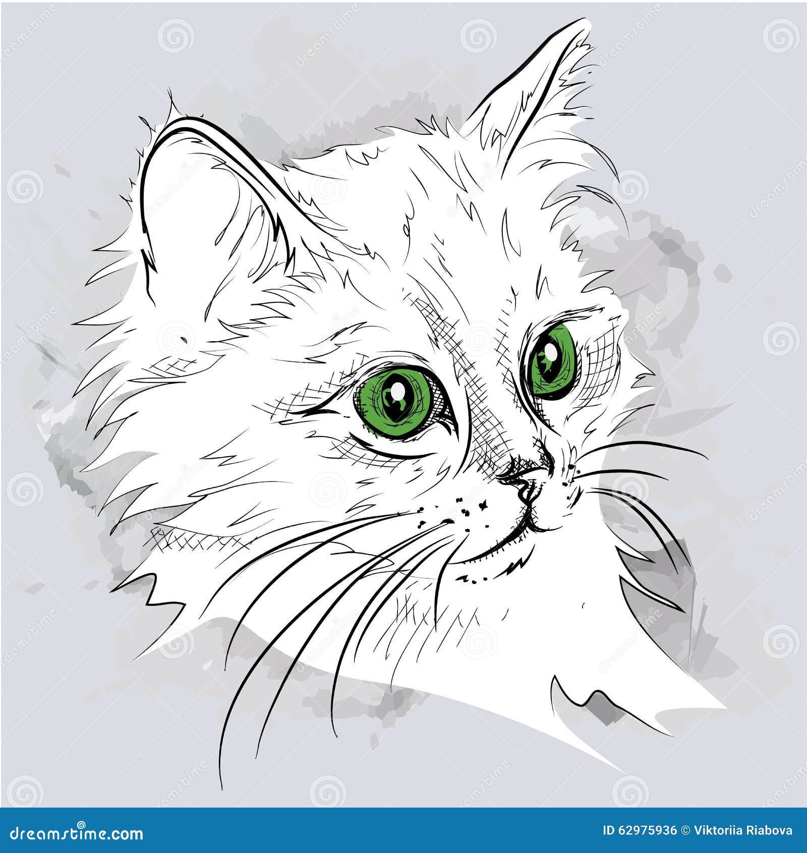 Hand Draw Cat Portrait. Vector Illustration Stock Vector - Illustration ...