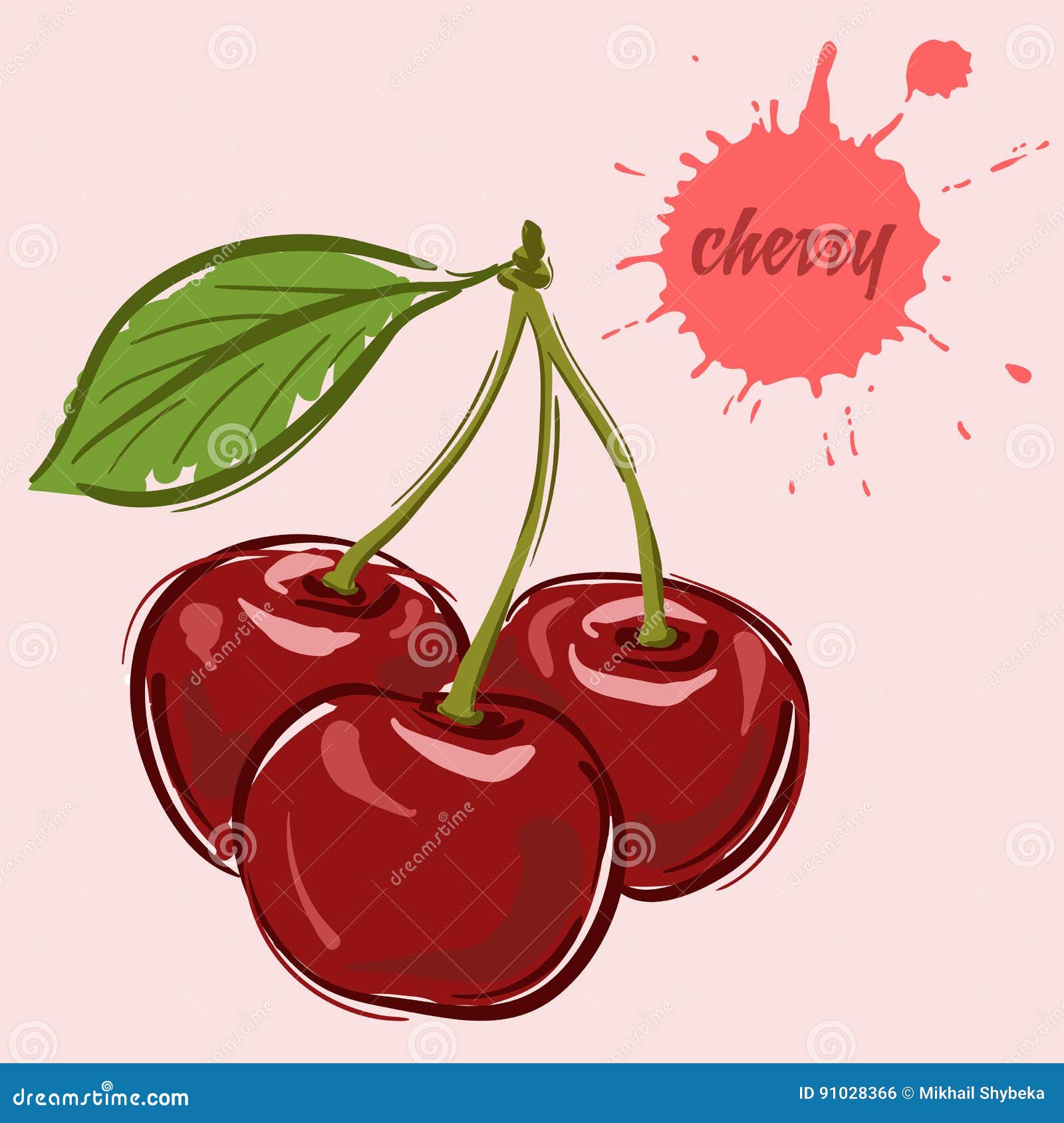 Hand draw of cherry stock vector. Illustration of organic - 91028366