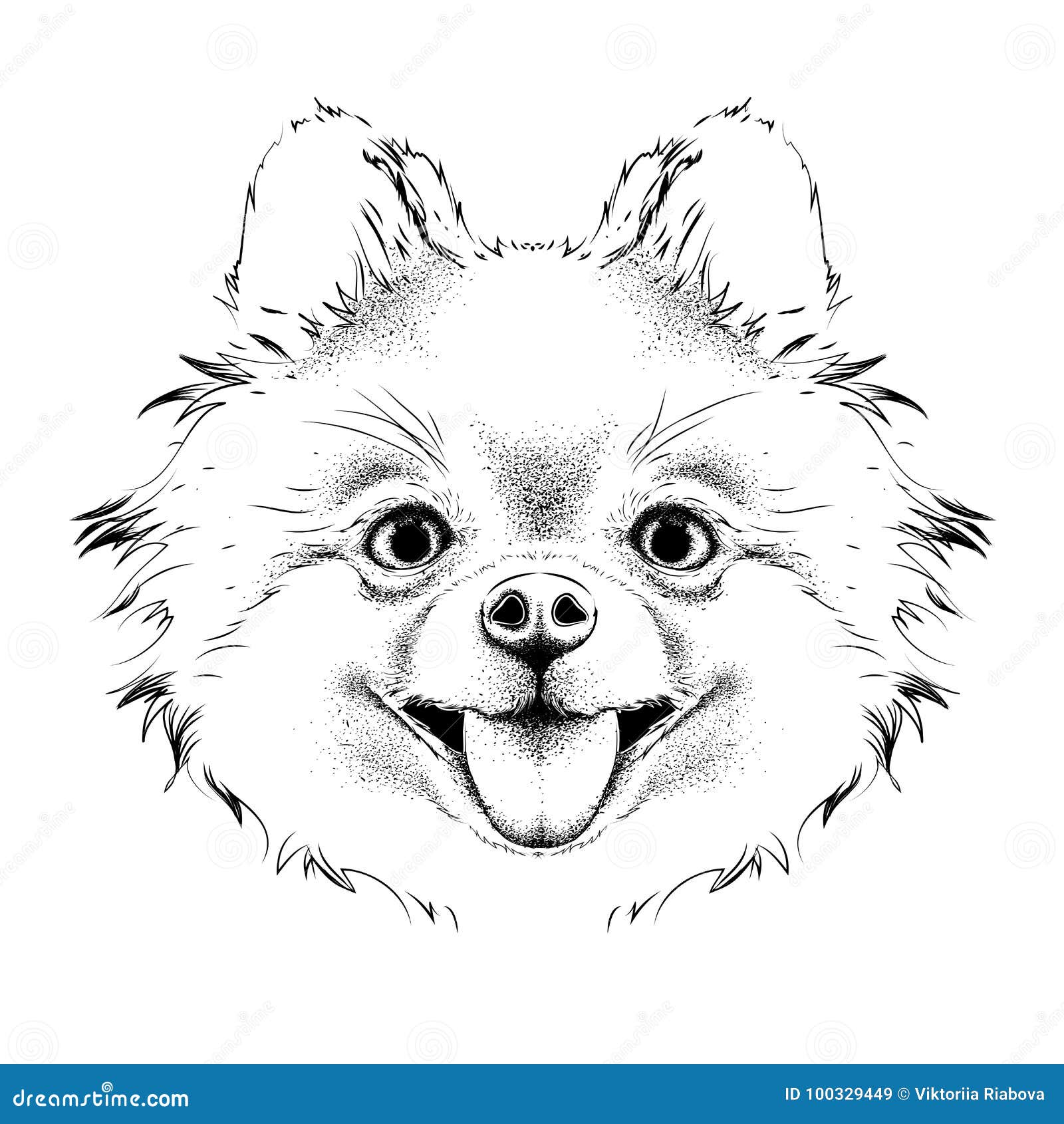 Hand Draw Chihuahua Portrait. Hand Draw Vector Illustration Stock ...