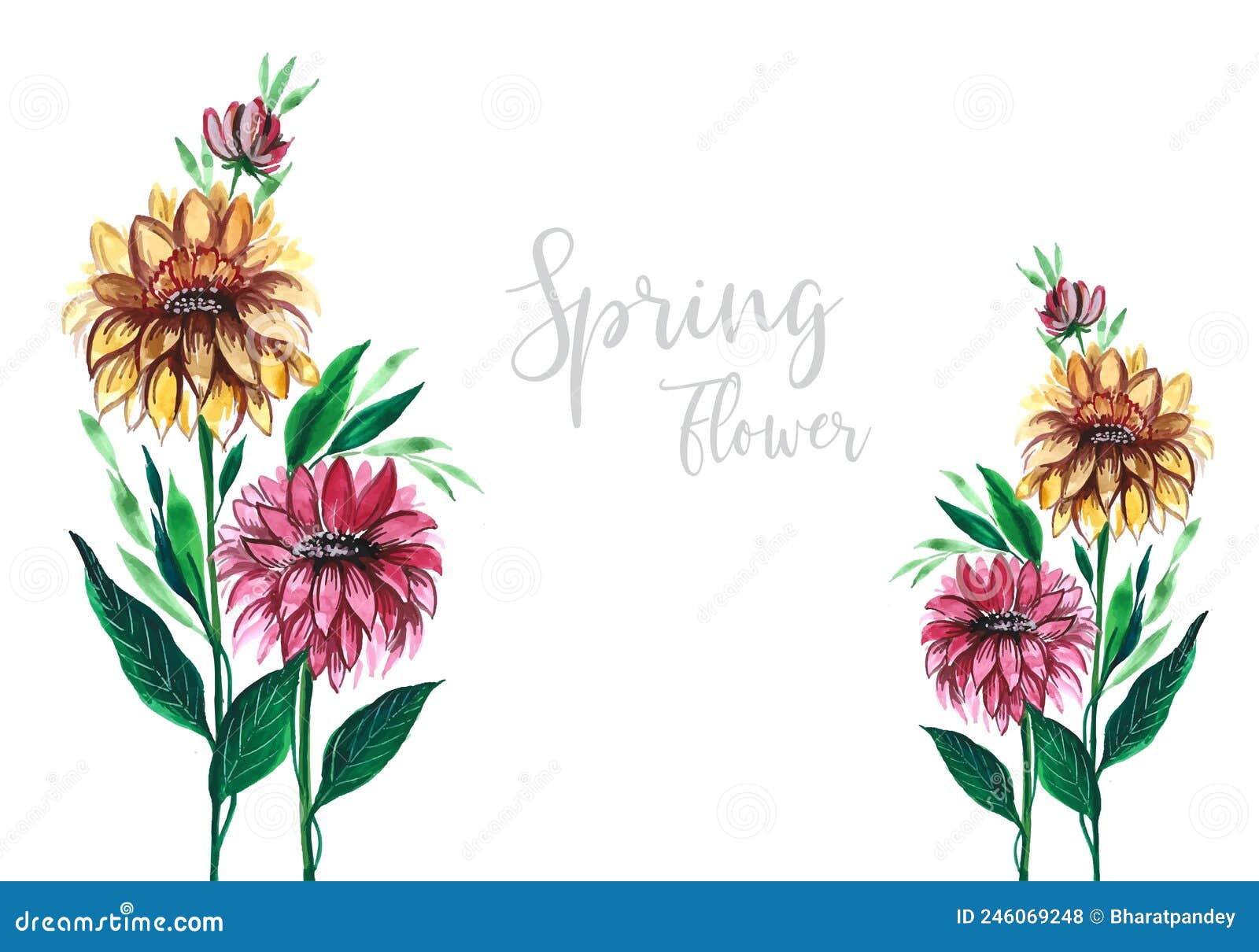 .Hand Draw Decorative Colorful Spring Flowers Design Illustration Stock ...