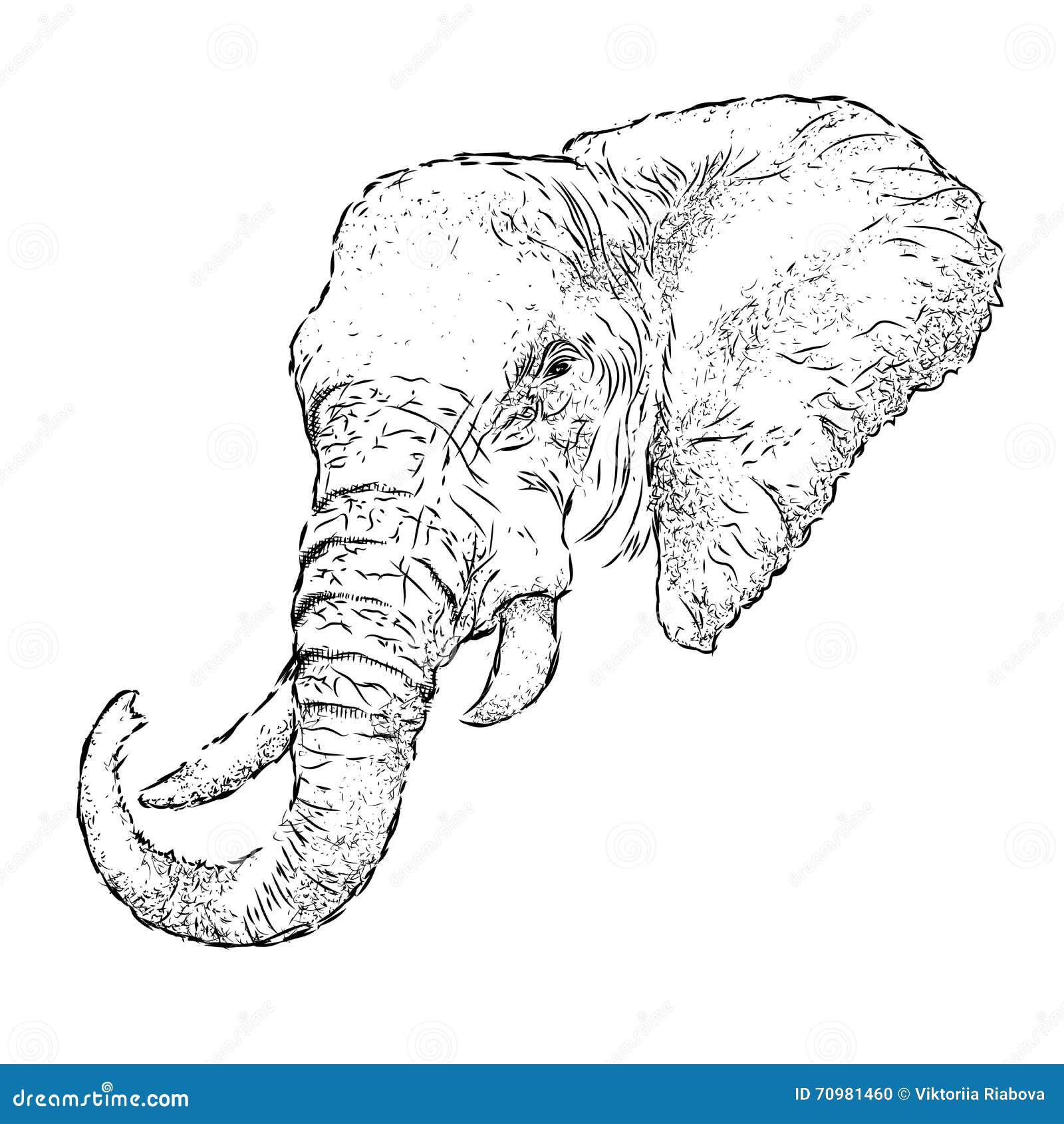 Hand Draw Elephant Portrait. Hand Draw Vector Illustration Stock Vector ...