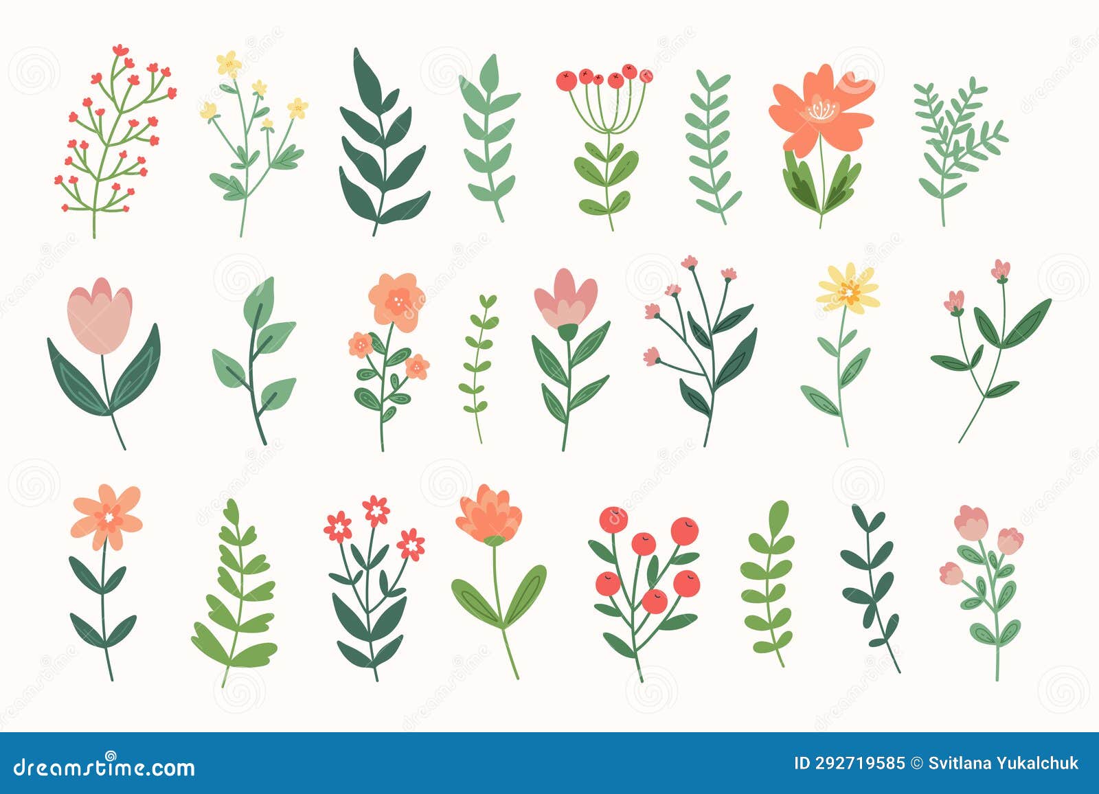 Hand draw flower set stock vector. Illustration of herbal - 292719585