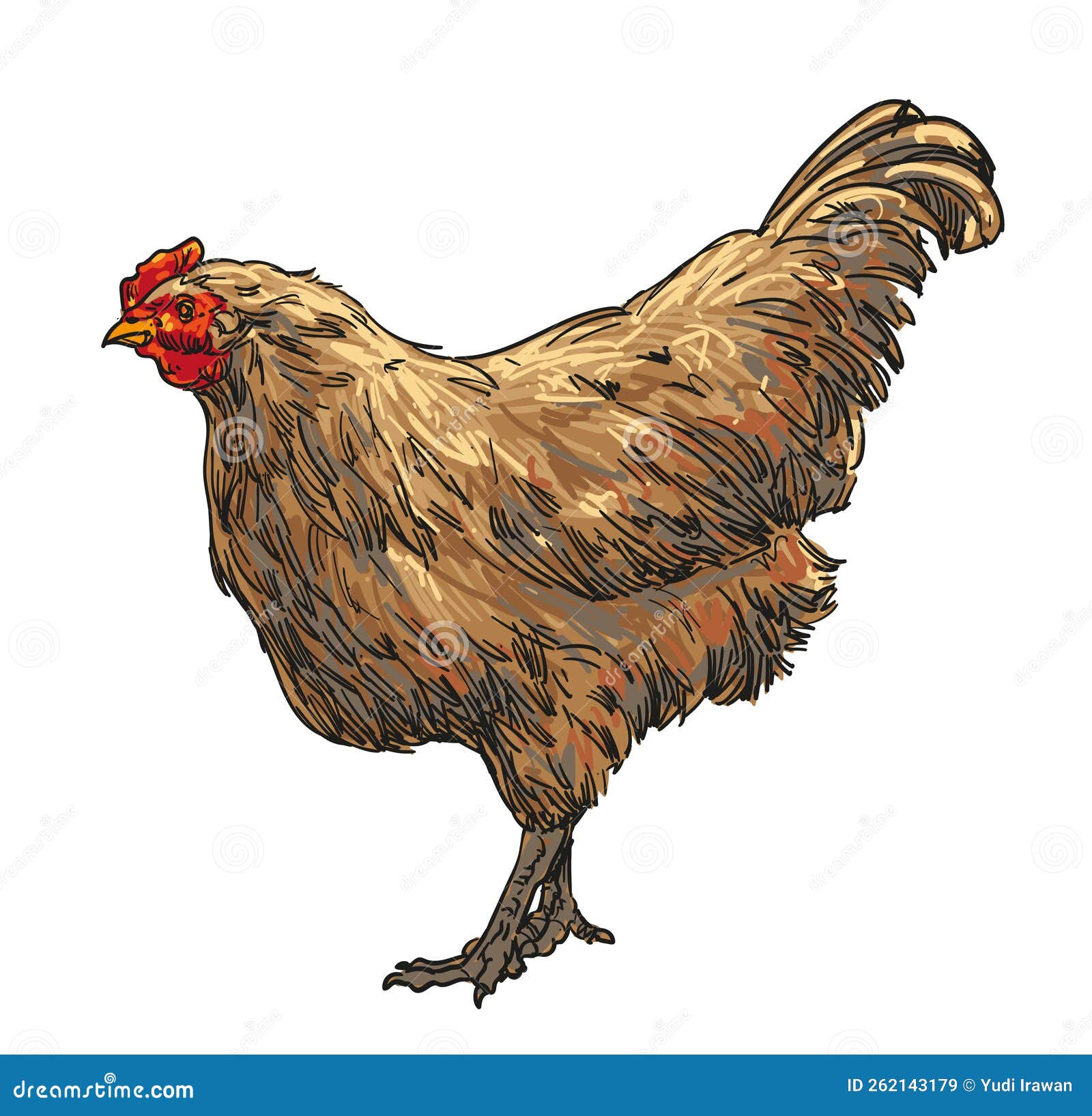 Hand Draw Hen Chicken Illustration Clip Art Colour Stock Vector Illustration Of Icon Cooking