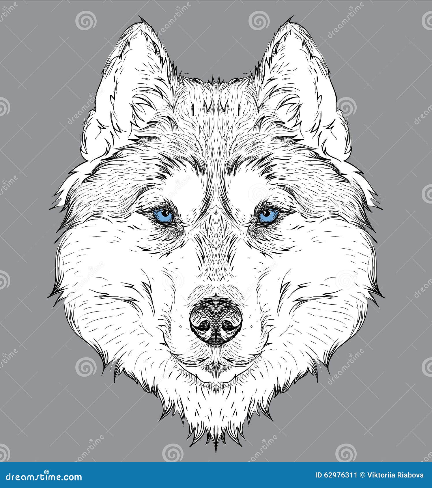 Hand Draw Husky Portrait. Hand Draw Vector Illustration Stock Vector ...