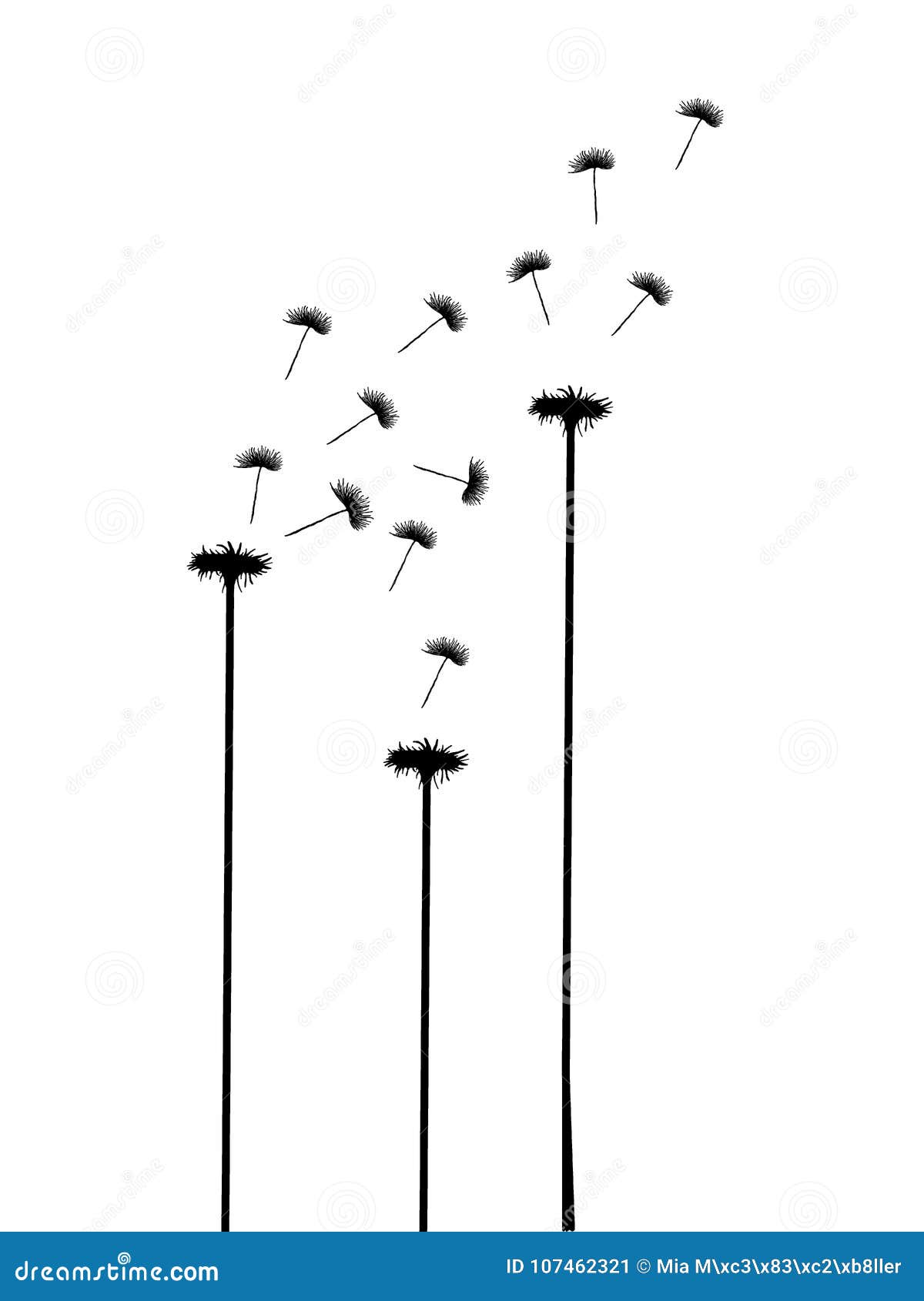 Dandelion Illustration with Flying Seeds Stock Illustration ...