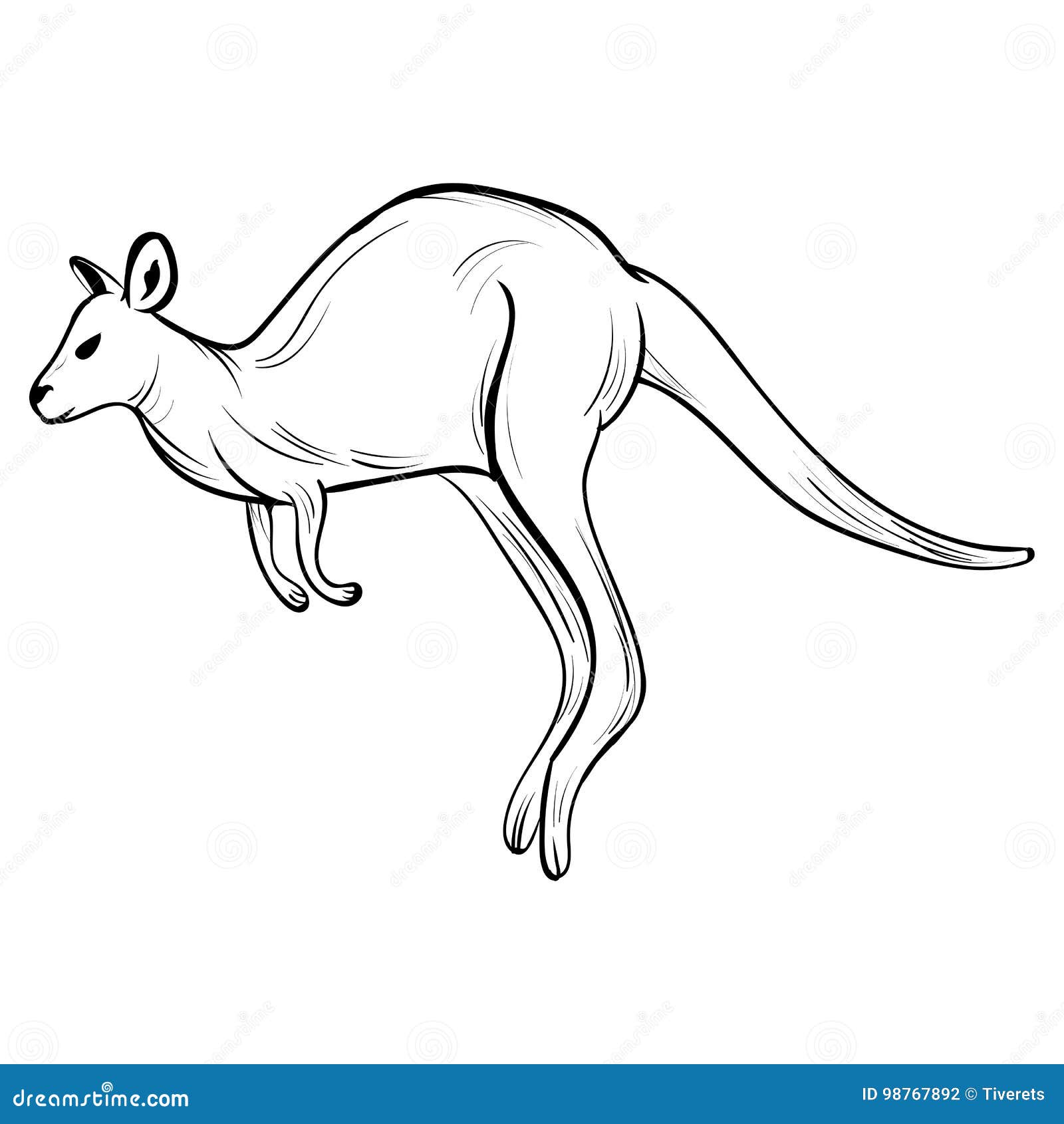 How To Draw Kangaroo, Step By Step Lesson For Kids Cartoon Vector ...