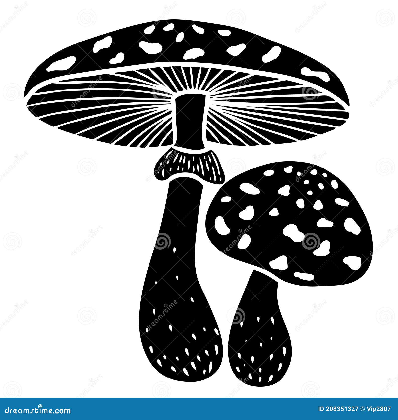 Hand Draw Mushroom Fly Agaric. Black Vector Illustration. Stock Vector ...