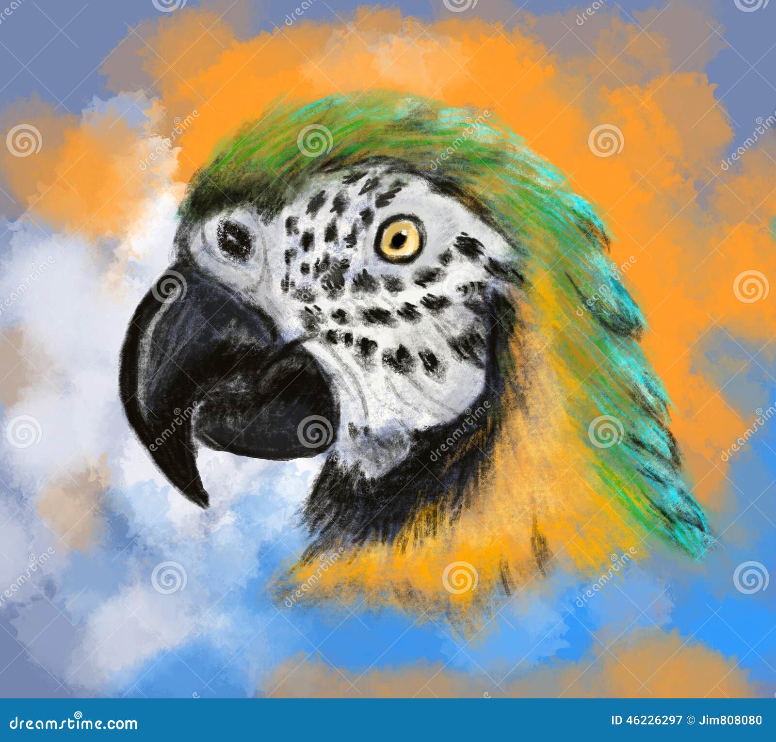 Hand draw parrot stock illustration. Illustration of parrot - 46226297