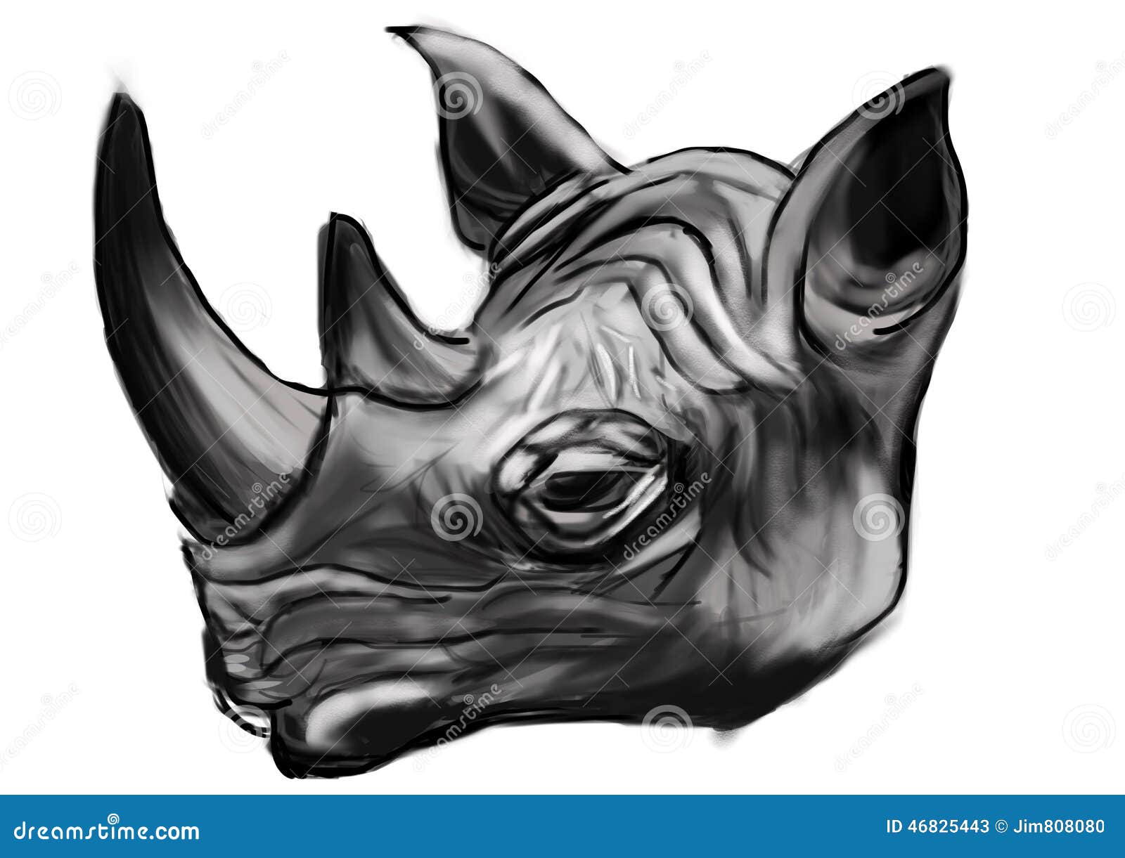 Rhino Head Painting