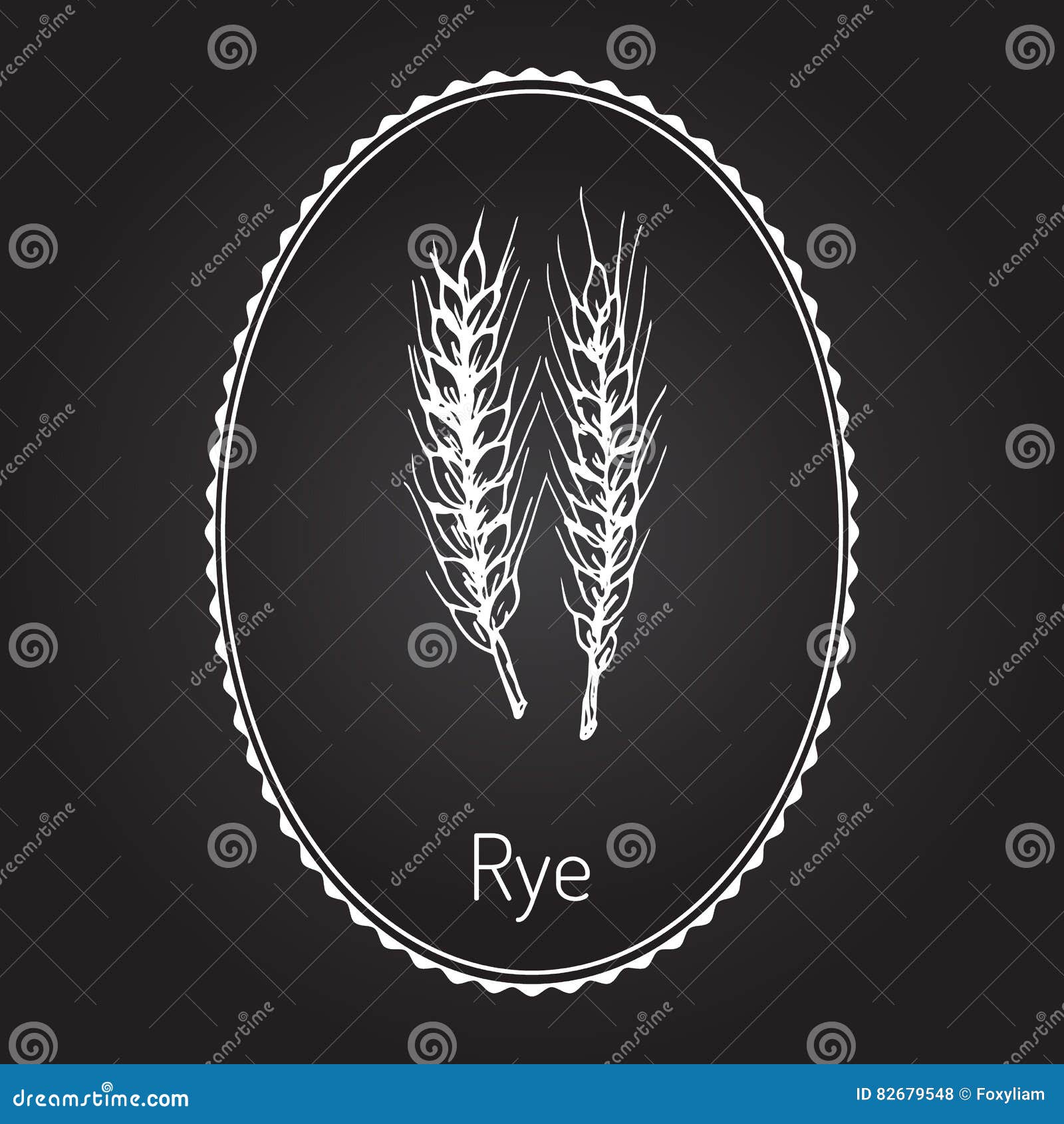 Hand draw rye ears sketch stock vector. Illustration of rural - 82679548