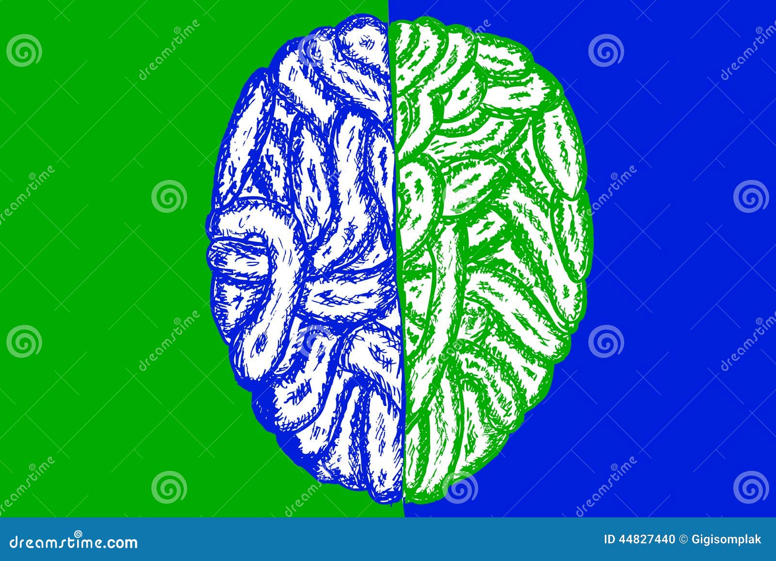 Hand Draw Sketch, Brain stock vector. Illustration of design - 44827440