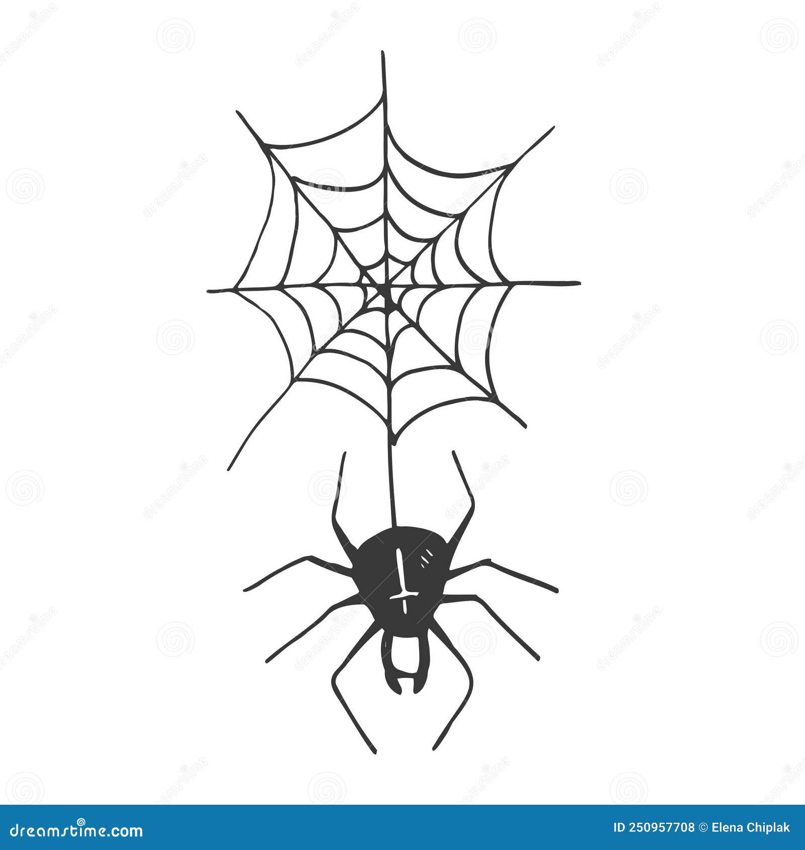 Hand Draw Sketch, Spider and Web. Halloween Concept. Vector ...