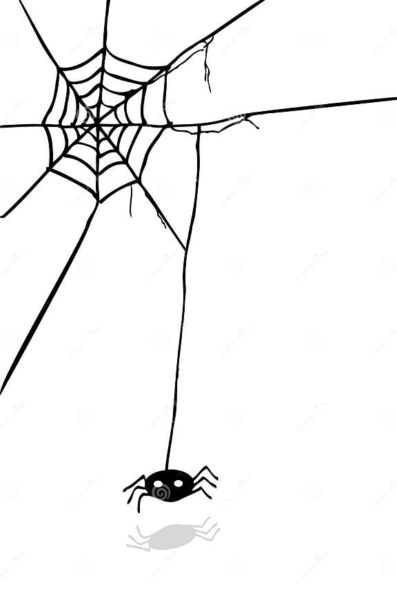 Hand Draw Sketch, Spider and Web Stock Vector - Illustration of insect ...