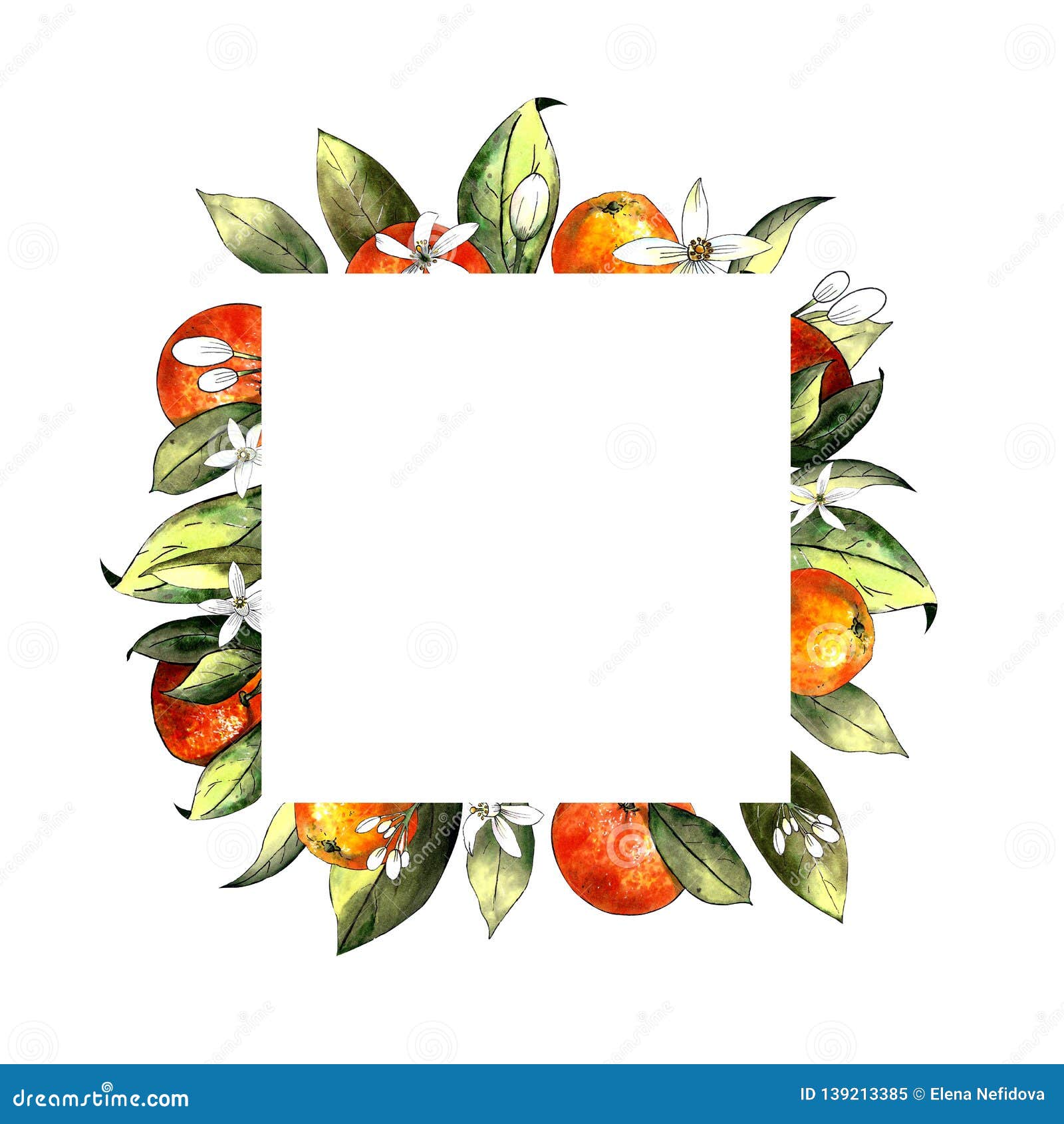 Mandarin With Leaves. Vector Illustration | CartoonDealer.com #12578354