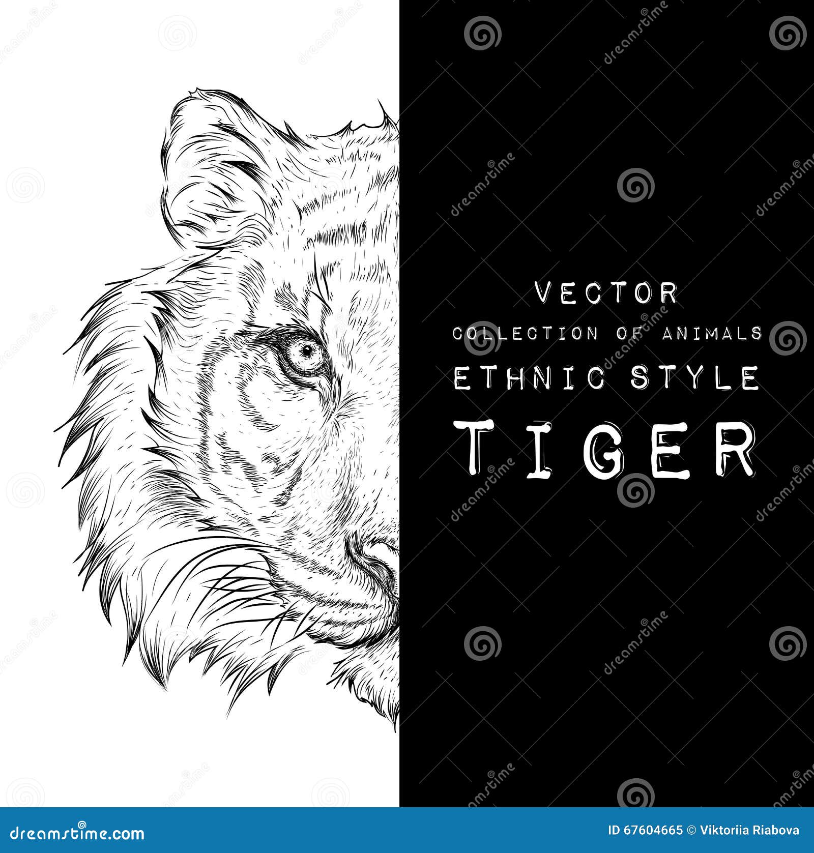 Hand Draw Tiger Portrait. Hand Draw Vector Illustration Stock Vector ...