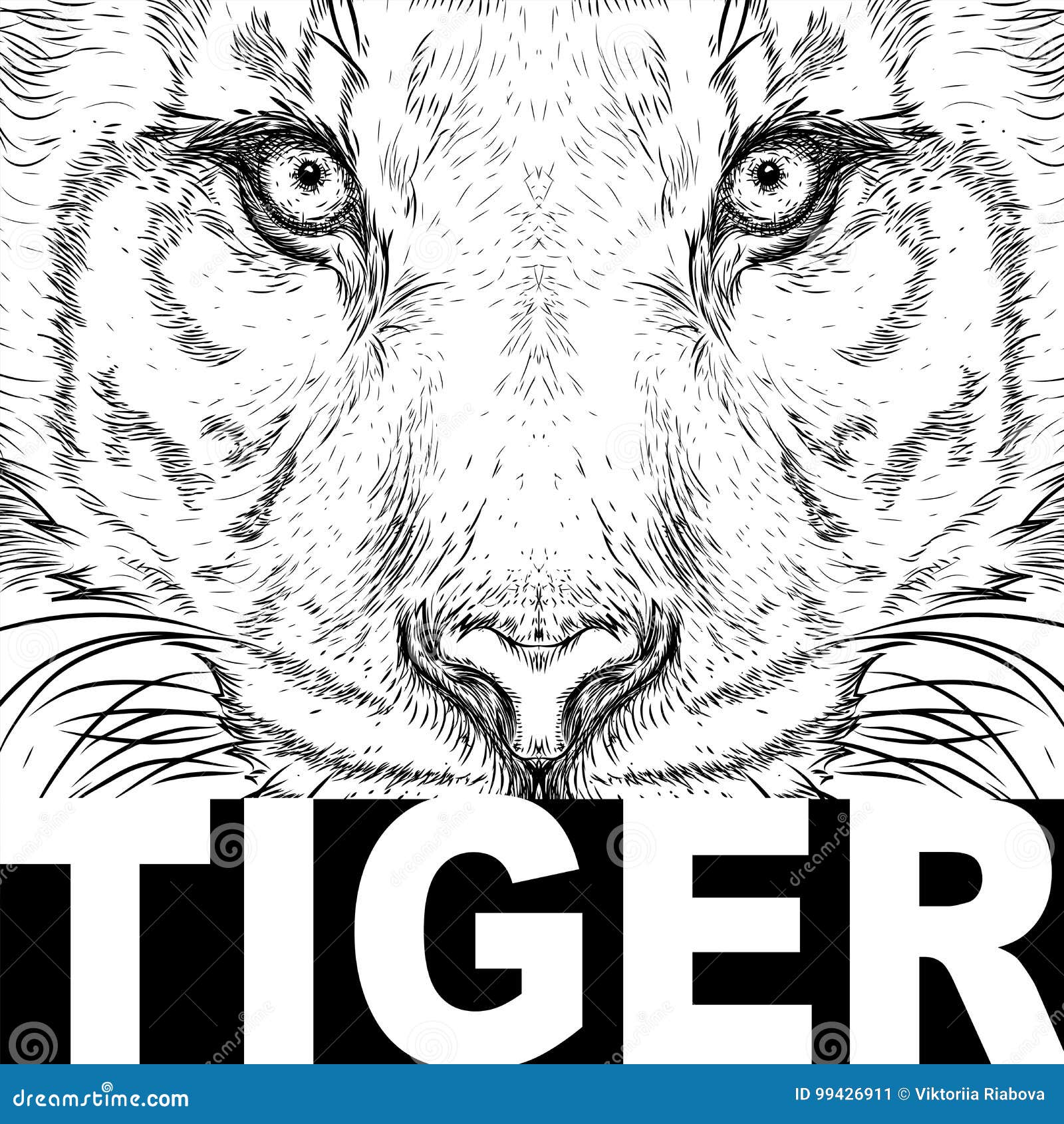 Hand Draw Tiger Portrait. Hand Draw Vector Illustration Stock Vector ...
