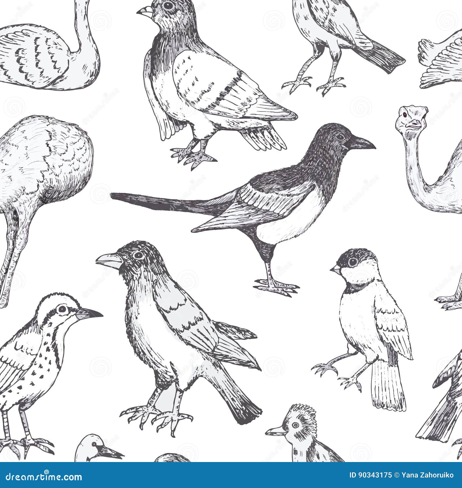 Hand draw vector birds stock vector. Illustration of decorative - 90343175