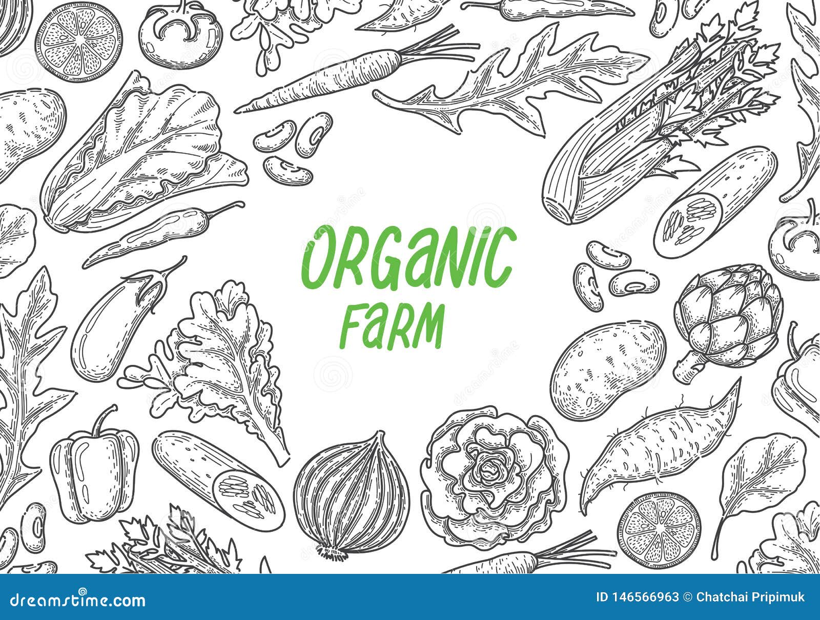 Hand Draw Vegetable, Vector Stock Vector - Illustration of onion, sweet ...