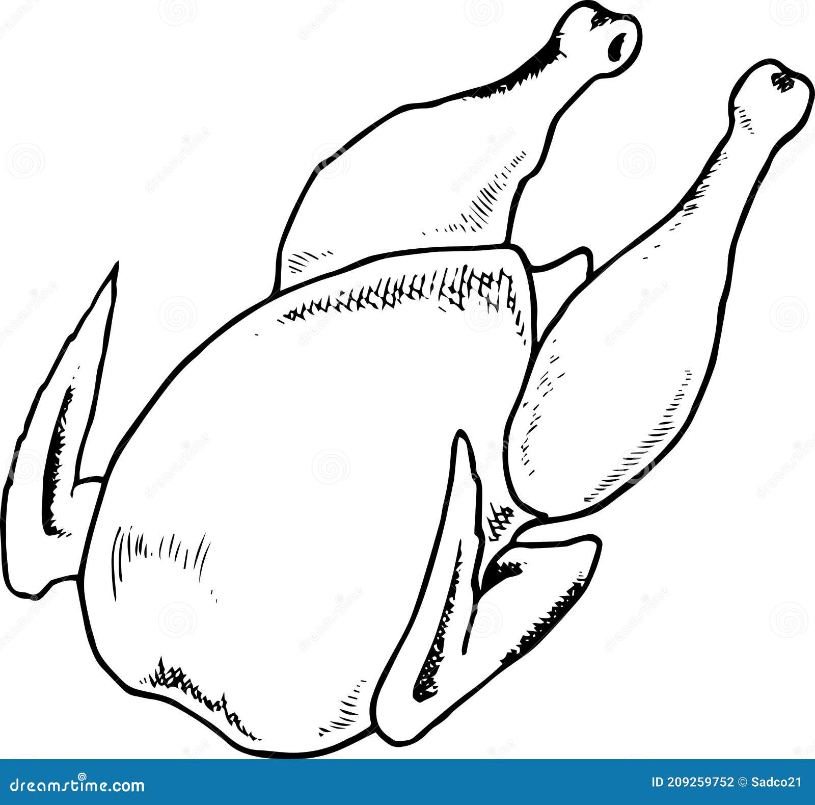 Chicken carcas doodle stock vector. Illustration of nature - 209259752