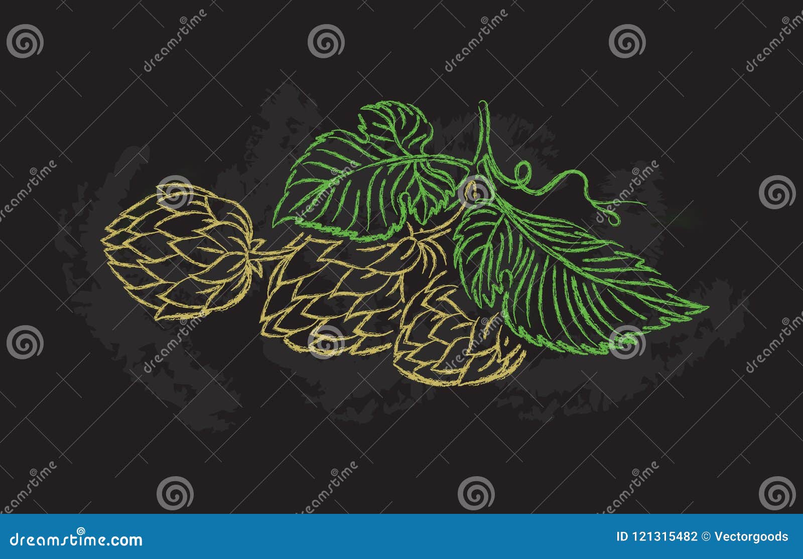 Hand Drawing of a Branch of Hops. Stock Vector - Illustration of corn ...