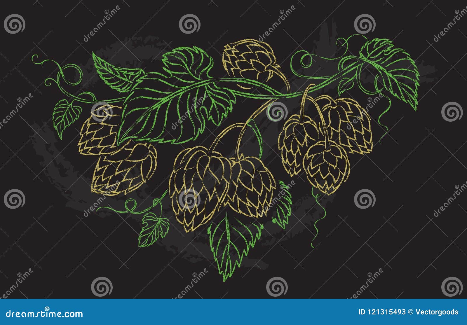 Hand Drawing of a Branch of Hops. Stock Vector - Illustration of design ...