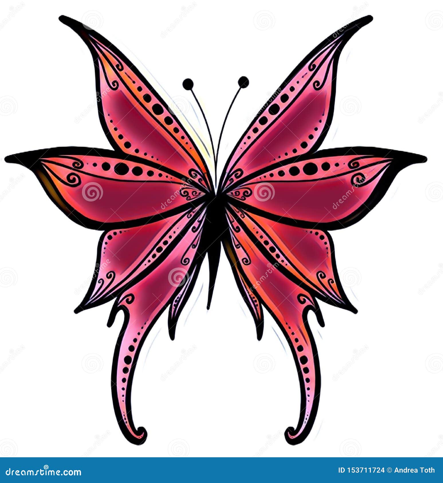 Hand Drawing Butterfly Illustration with Ipad Pro Procreate Stock ... Hand Drawing Butterfly Illustration with Ipad Pro Procreate Stock ...