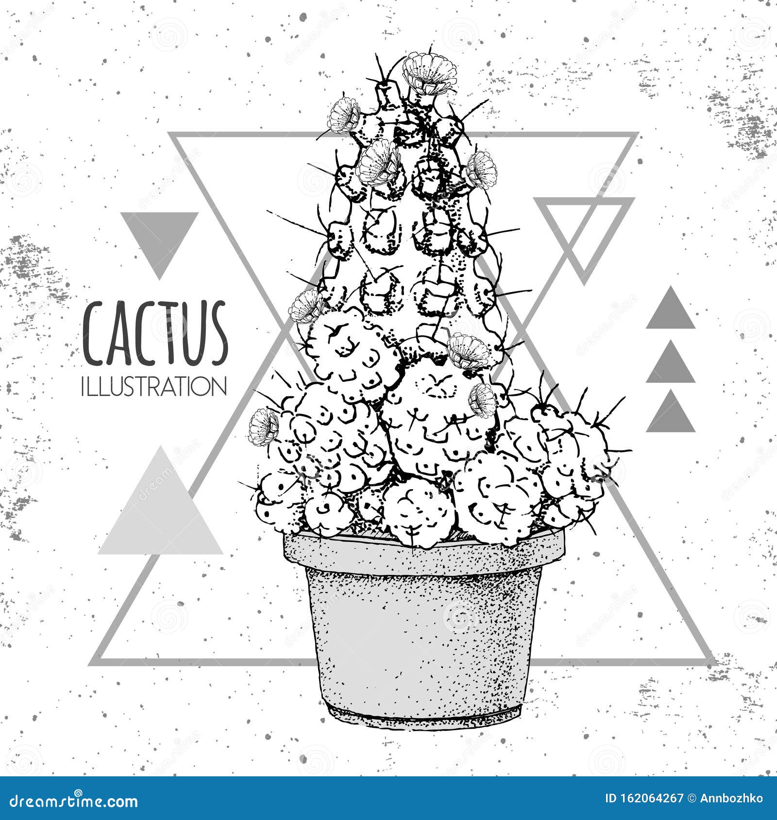 Hand Drawing Cactus Vector Illustration on Grunge Triangle Background ...