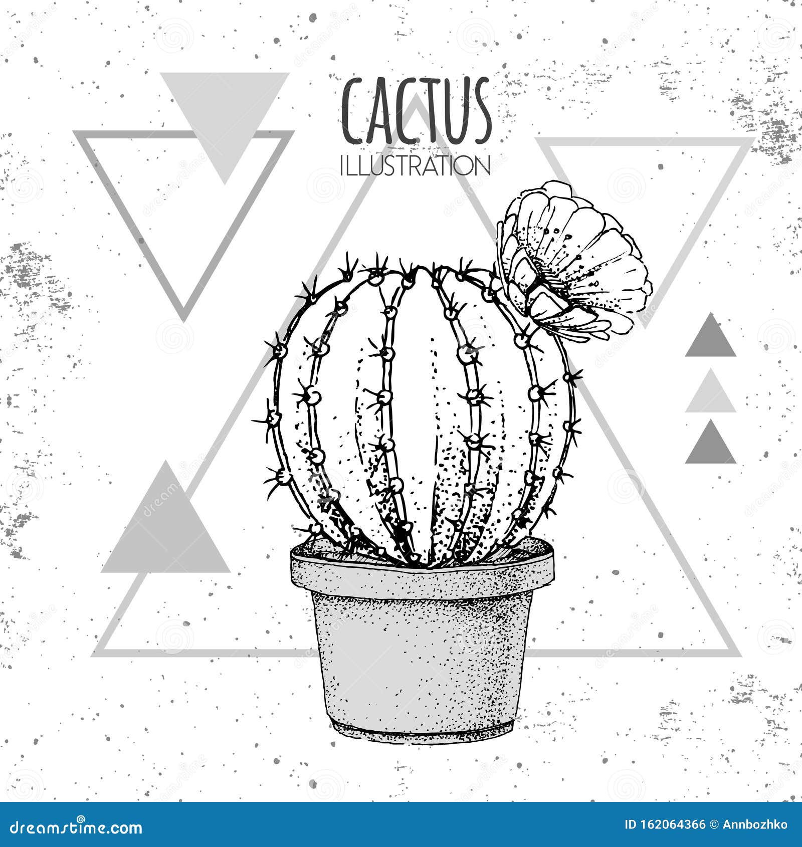 Hand Drawing Cactus Vector Illustration on Grunge Triangle Background ...