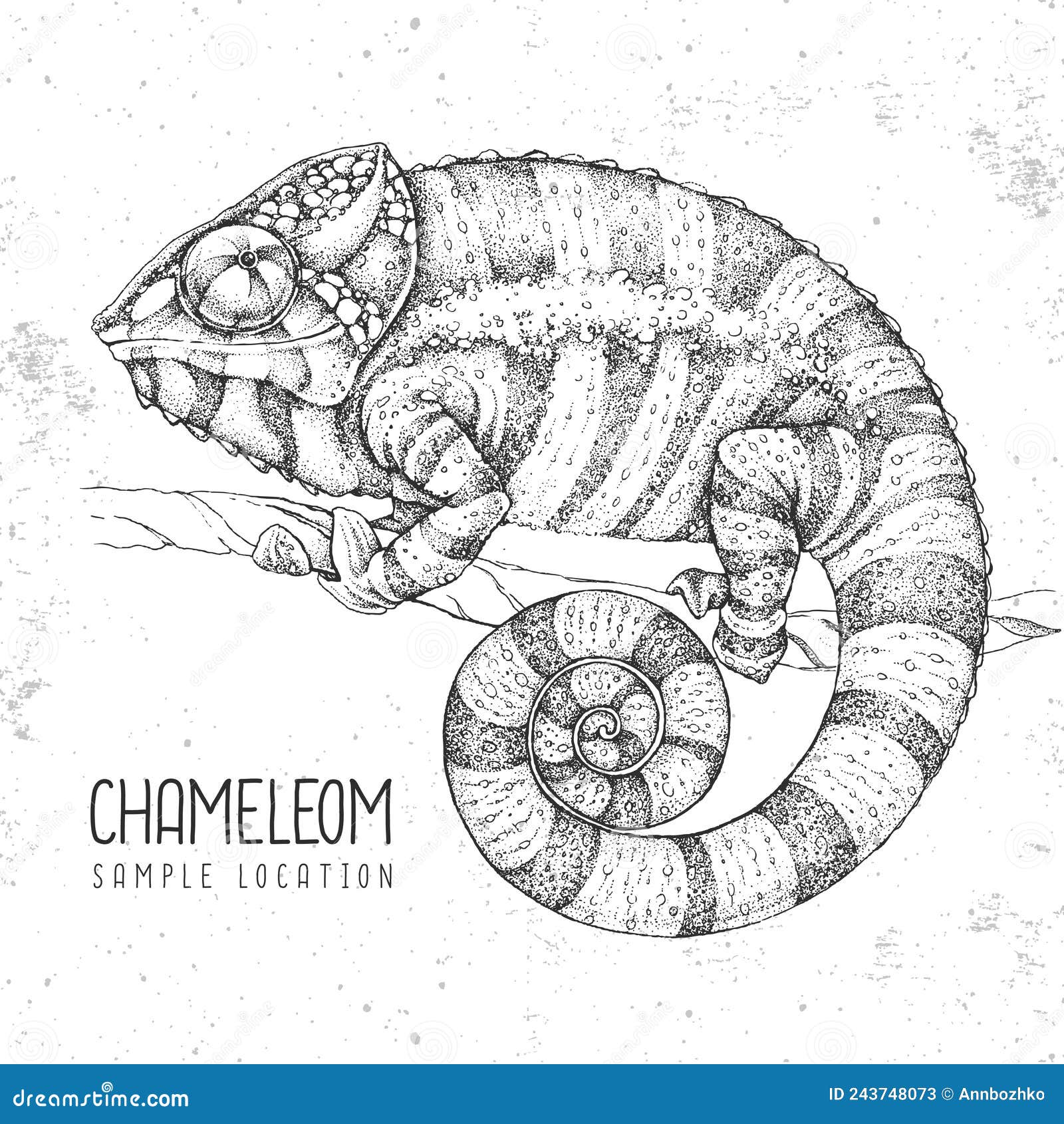 Hand Drawing Chameleon Illustration. Graphic Art Stock Vector ...