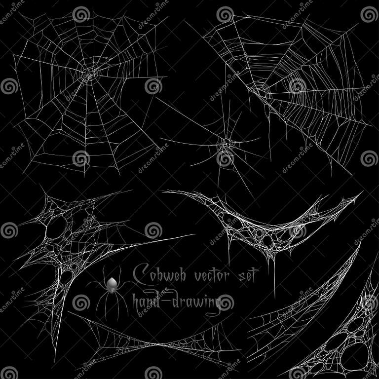 Hand drawing cobweb set stock vector. Illustration of detail - 56262653